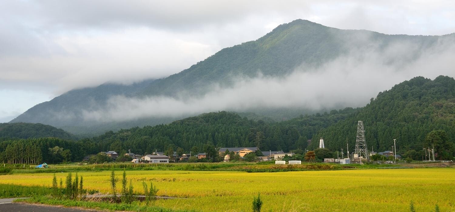 2014.08.31 弥彦山 / やすさんの弥彦山・多宝山・雨乞山の活動データ | YAMAP / ヤマップ