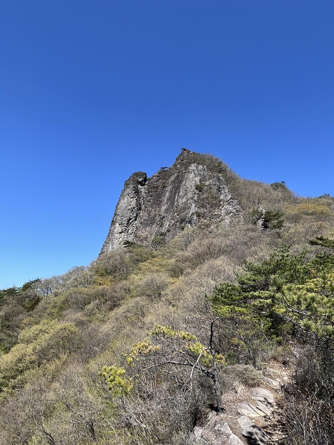 姪っ子と子持山 / Makotoさんの子持山の活動データ | YAMAP / ヤマップ