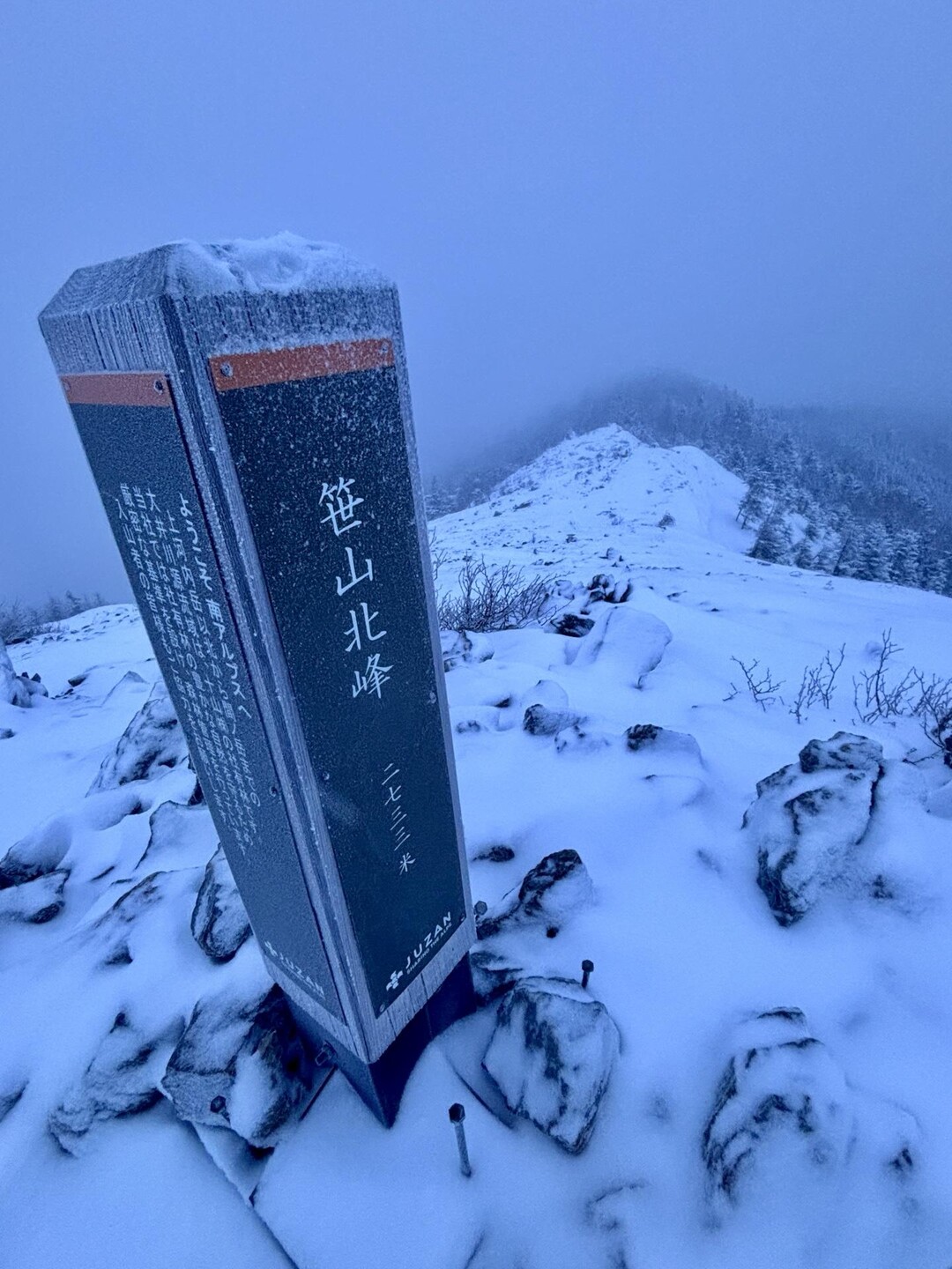 南ア・笹山ダイレクト尾根 / ma34sさんの山伏・八紘嶺・笹山の活動日記 | YAMAP / ヤマップ