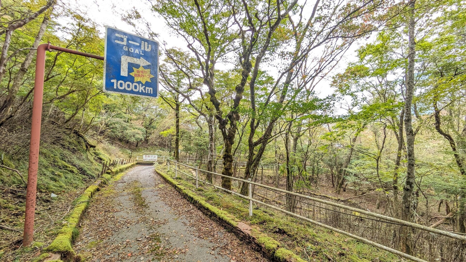 ko usさんの投稿したフィールドメモ | YAMAP / ヤマップ