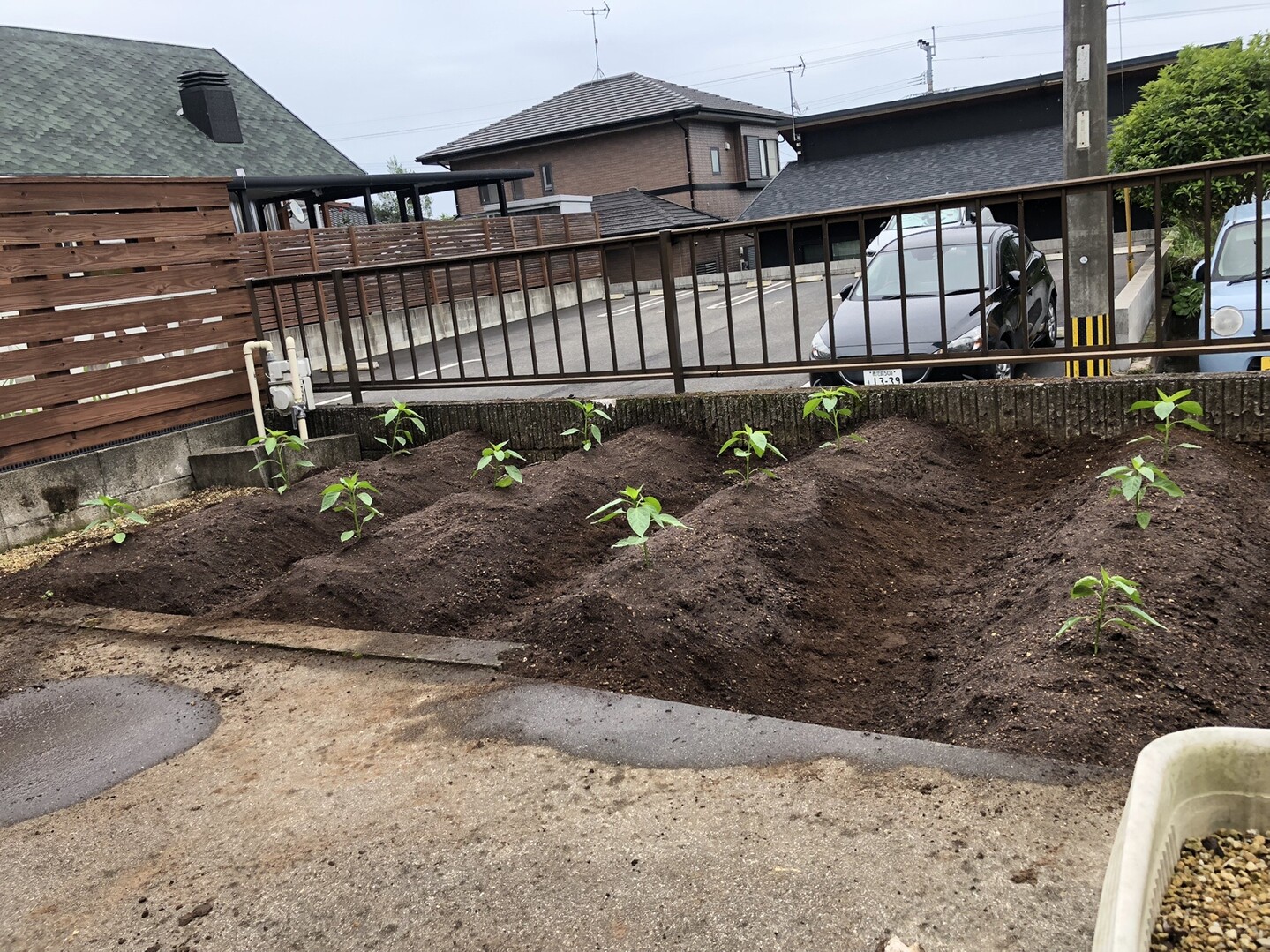 無事植え付け完了しました / beefとワニ怪人さんのモーメント | YAMAP / ヤマップ