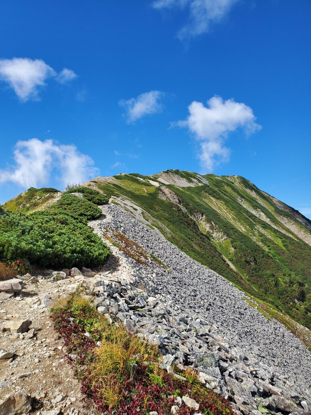 白馬岳(栂池コース) / rieさんの白馬岳・小蓮華山の活動データ | YAMAP / ヤマップ