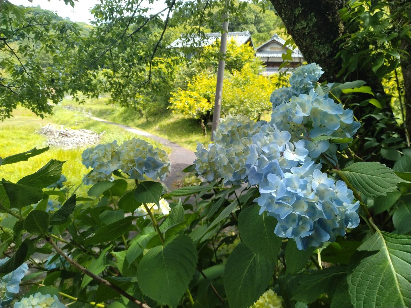 カモン！🦖T-REX！粟ヶ岳.28・高塚山・高尾山・岳山 / 超平丼さんの粟ヶ岳の活動日記 | YAMAP / ヤマップ