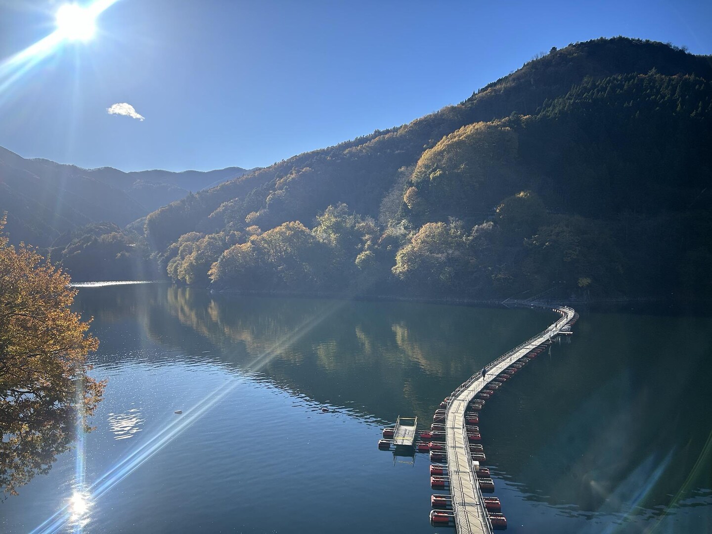 三頭山｜小河内バス停~数馬の湯 / aiさんの三頭山・槇寄山・土俵岳の活動データ | YAMAP / ヤマップ