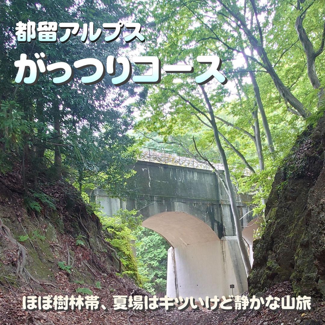 Youtube:[https://you... / StrayCatさんのモーメント | YAMAP / ヤマップ