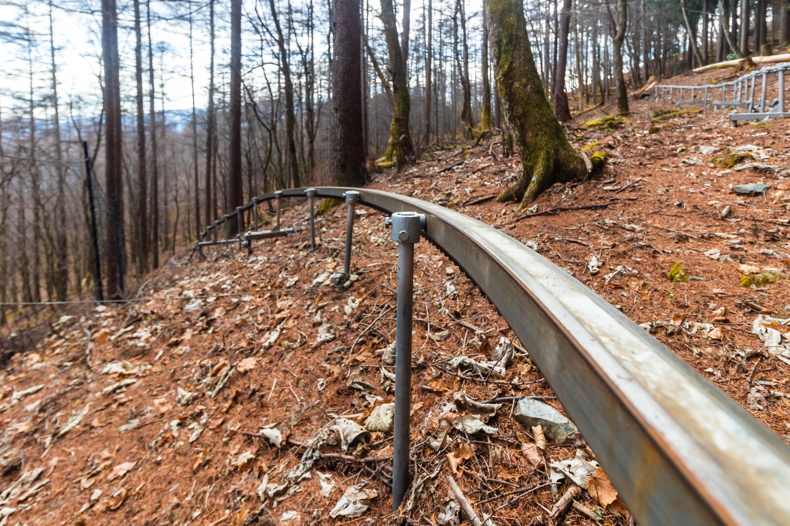 赤指山からモノレールを見に行ってきました / Bakiさんの雲取山・鷹ノ巣山・七ツ石山の活動データ | YAMAP / ヤマップ