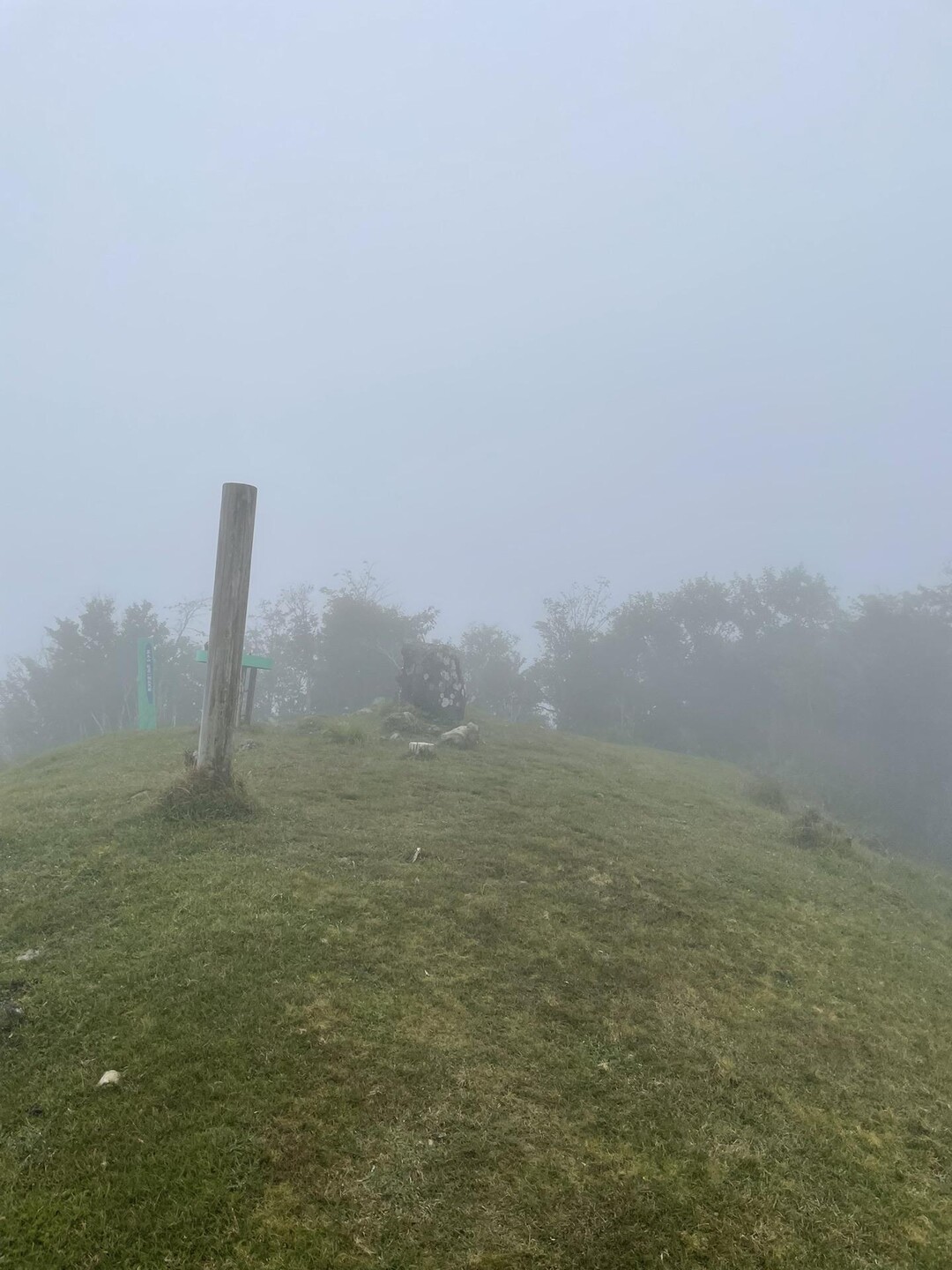 真っ白けの高丸山⛰の巻 / ☆taemon☆さんの雲早山・高丸山・西三子山の活動データ | YAMAP / ヤマップ