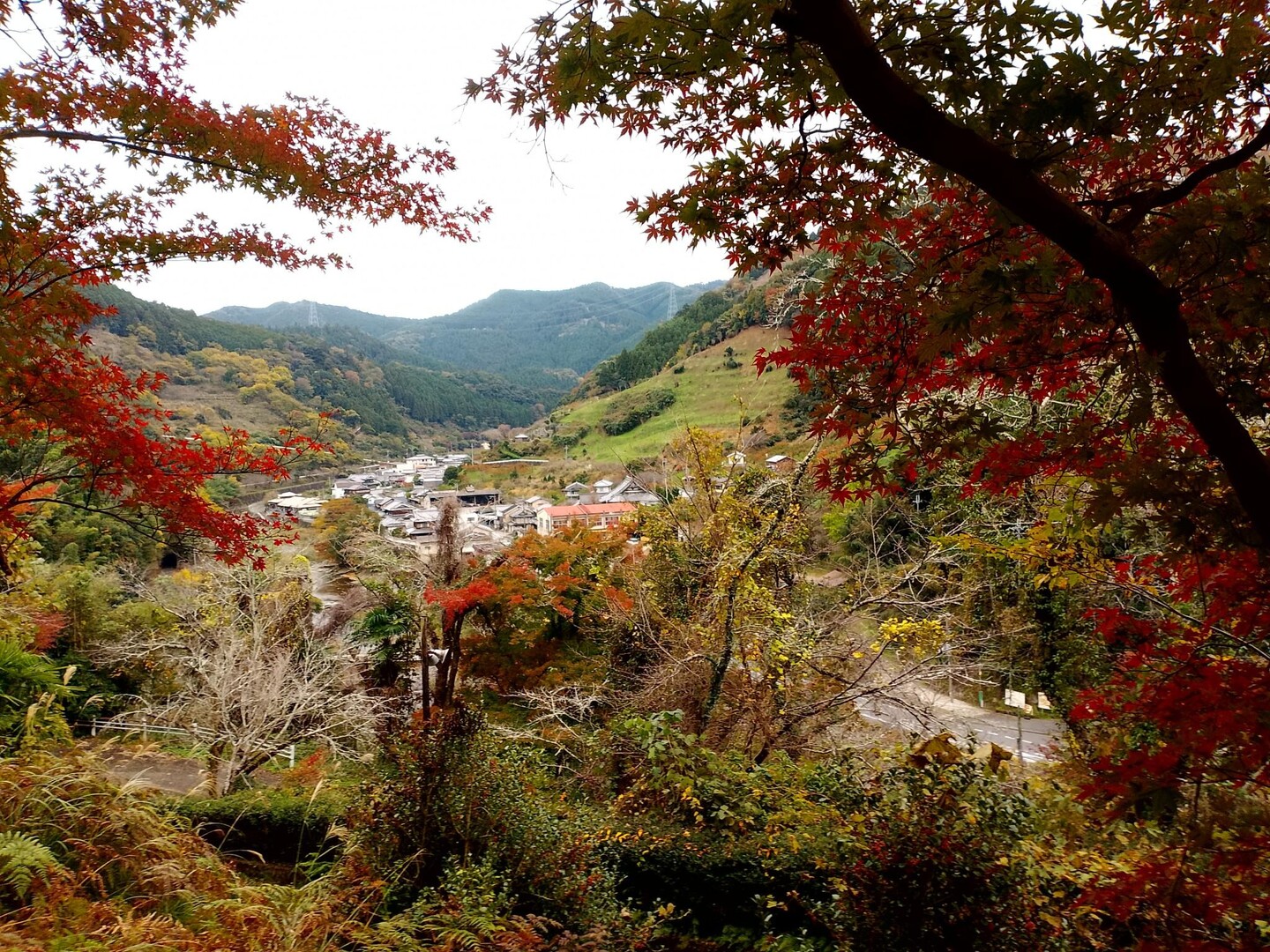 西吉野賀名生ウォーキング-2024-11-23 / n-fukuokaさんのウォーキングの活動データ | YAMAP / ヤマップ