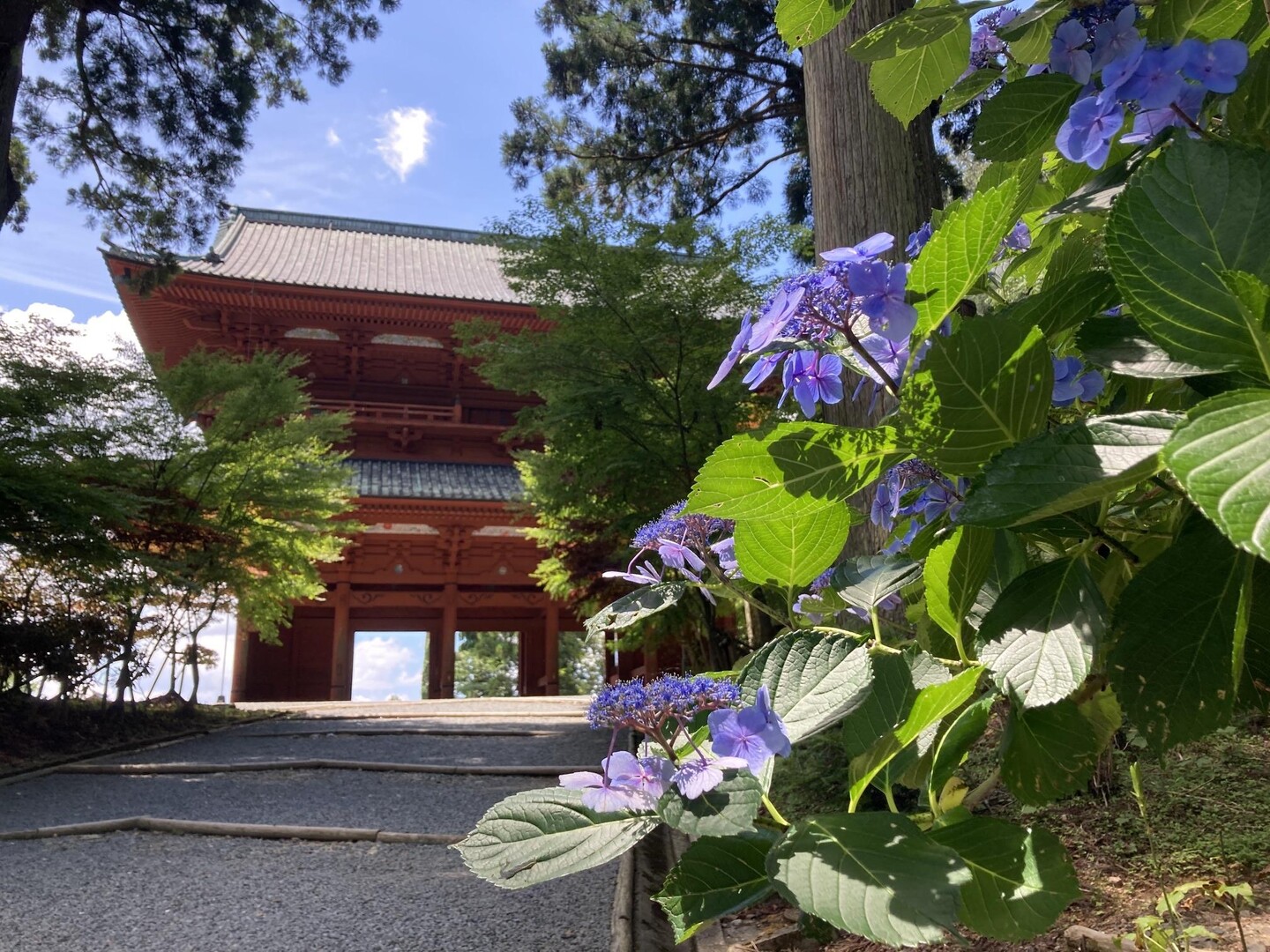 高野参詣道 / bu-koさんの高野参詣道（高野山・楊柳山・雨引山）の活動データ | YAMAP / ヤマップ