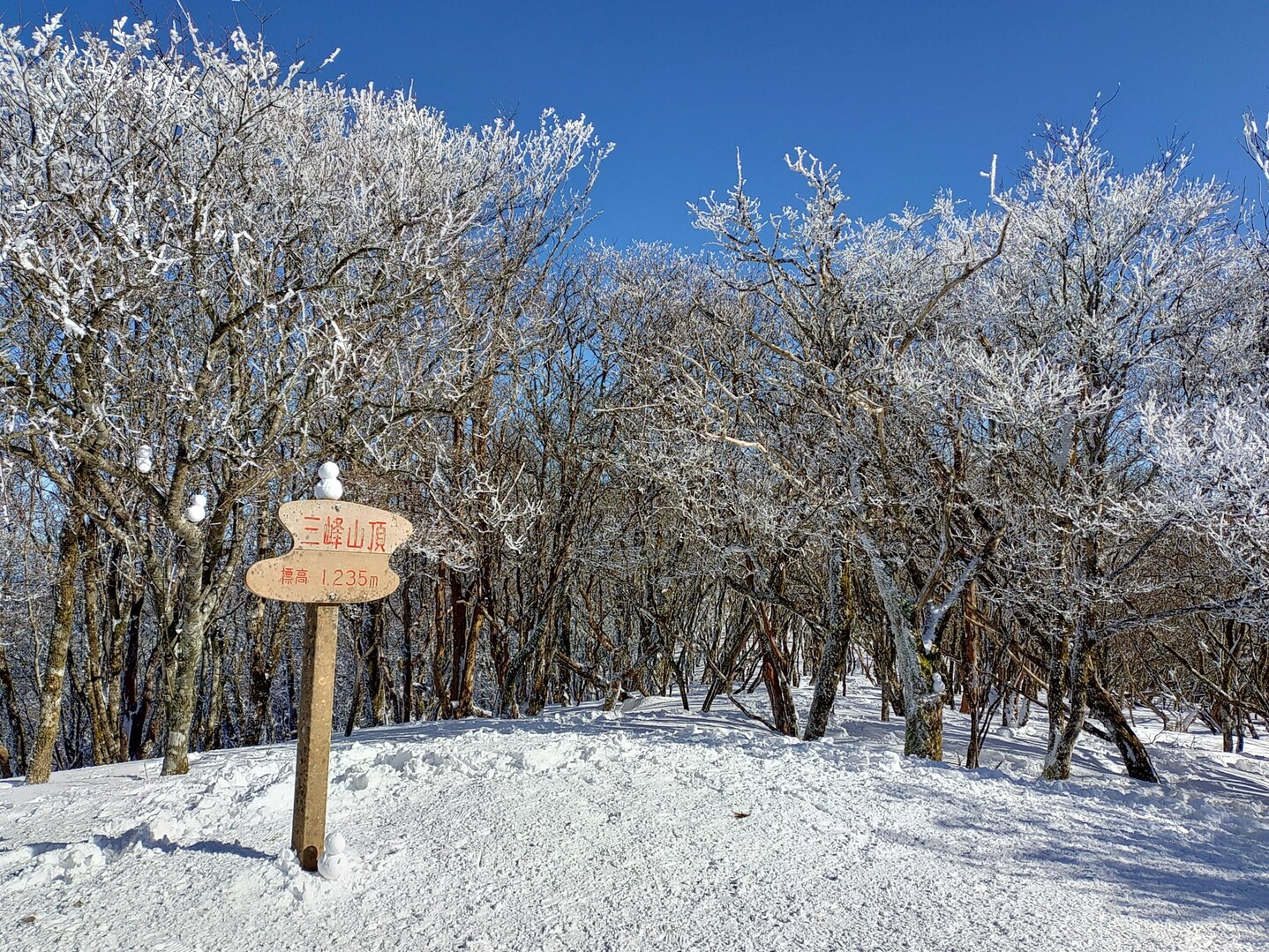 三峰山 / R.hondaさんの三峰山・学能堂山・栗ノ木岳の活動データ | YAMAP / ヤマップ