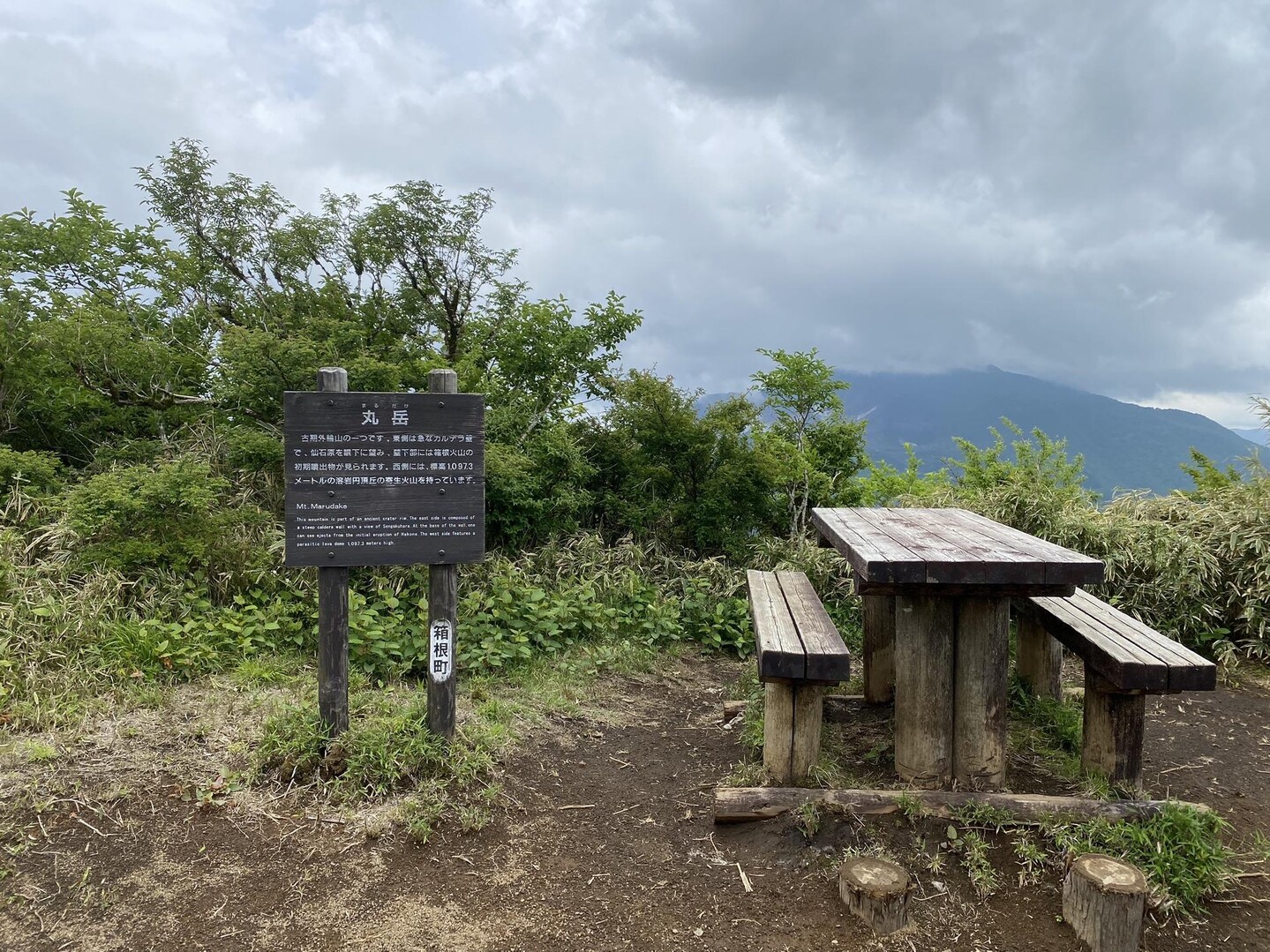 丸岳 / tosiさんの金時山・明神ヶ岳の活動日記 | YAMAP / ヤマップ