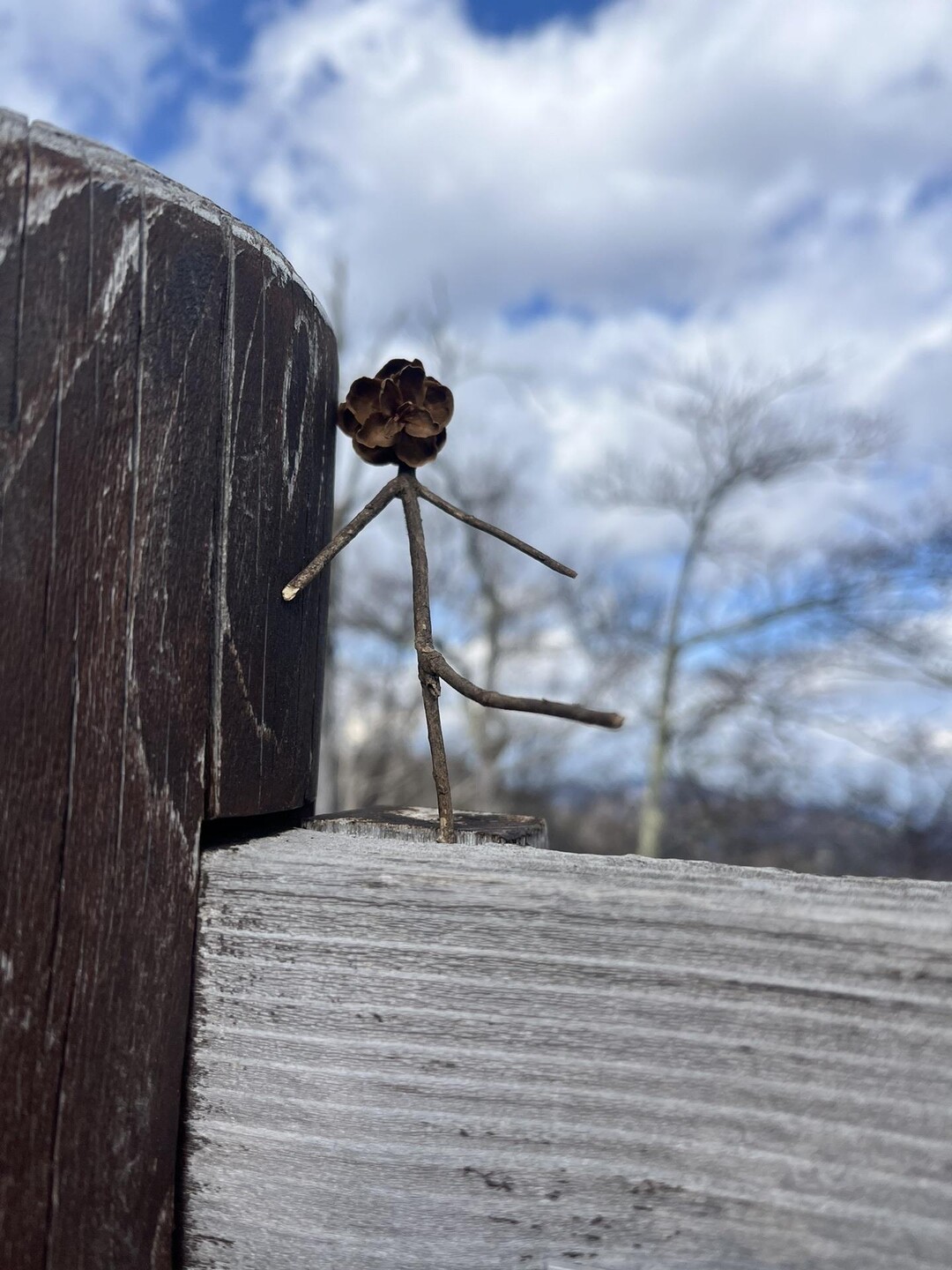 棒ノ嶺・川苔山 ︎奥多摩駅 / so!yo!さんの川苔山（川乗山）の活動データ | YAMAP / ヤマップ