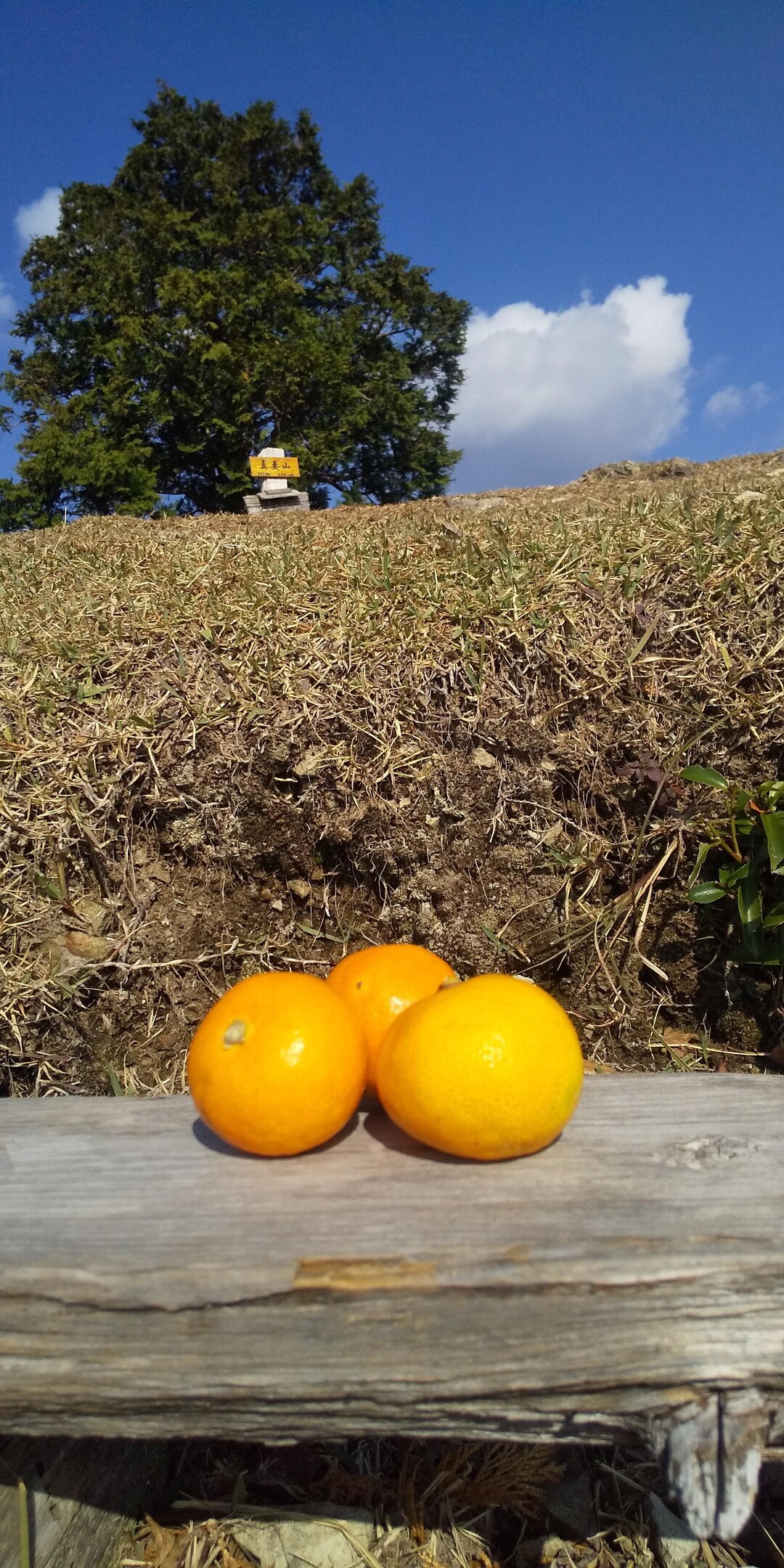 真妻山 山頂は360度の展望 / mokoさんの真妻山（日高富士）の活動データ | YAMAP / ヤマップ