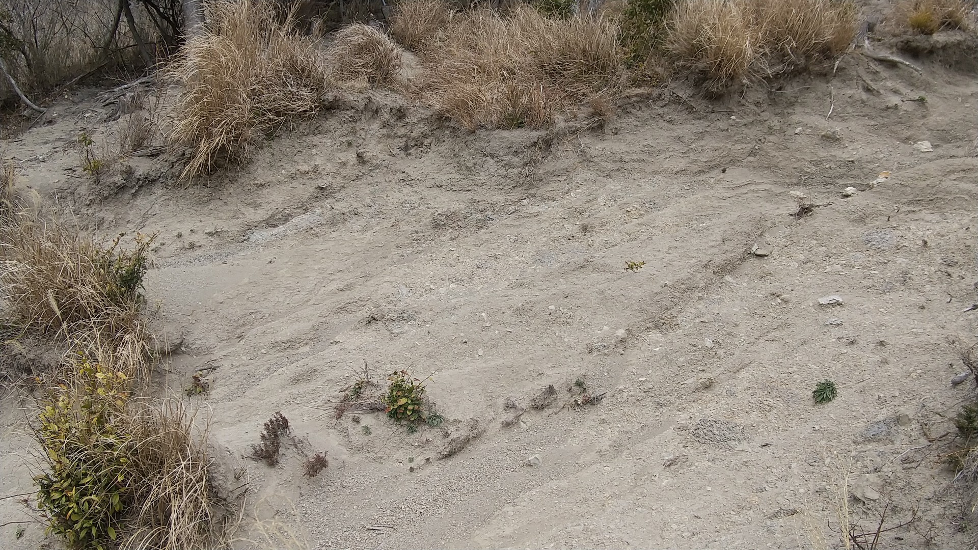 kzさんの投稿したフィールドメモ | YAMAP / ヤマップ