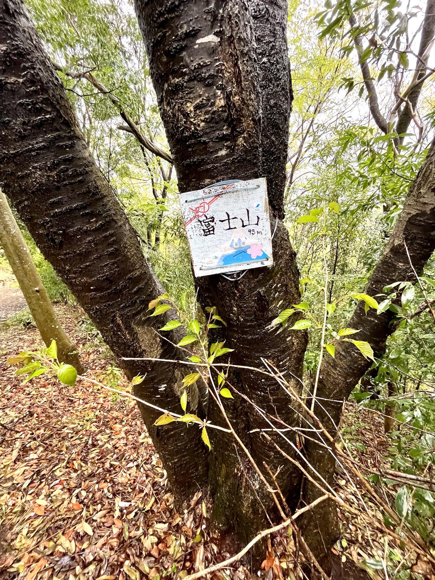 富士山 / Uさんの太平山・晃石山・唐沢山の活動データ | YAMAP / ヤマップ