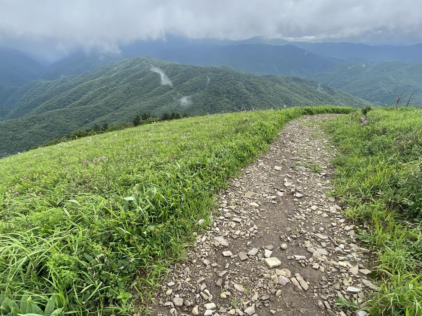 深入山 SOTA JA/HS-014 / JO4EMT （mooriiy style）さんの深入山の活動データ | YAMAP / ヤマップ