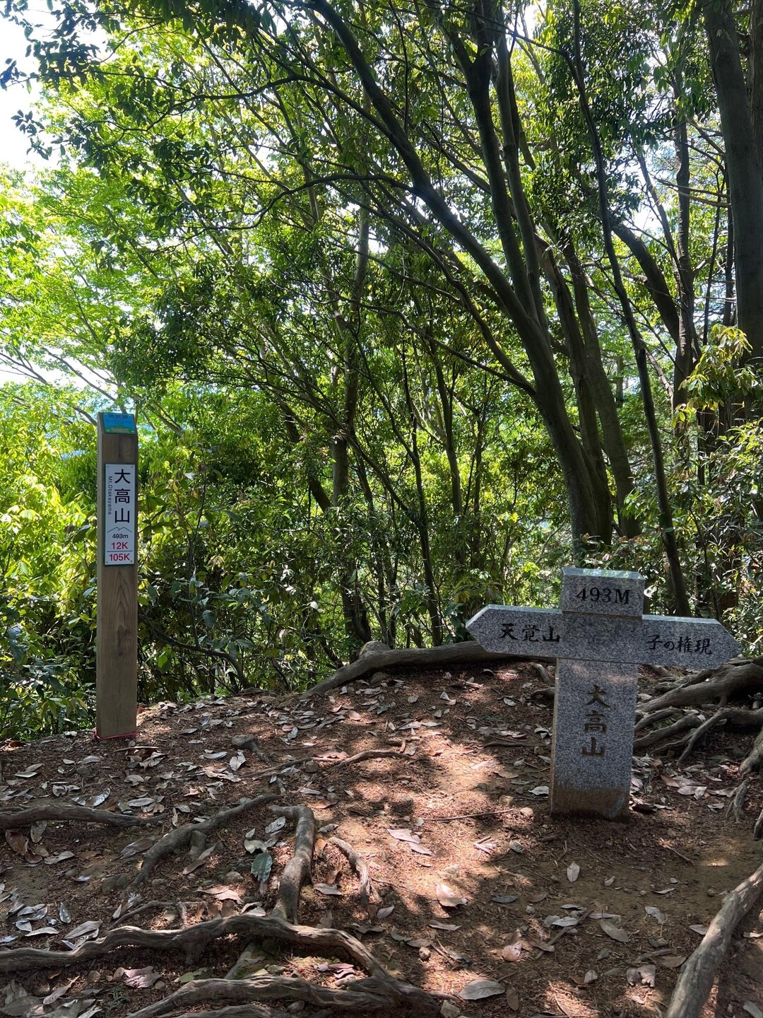 奥武蔵ロングトレイル35k試走 / Odanicoさんの天覧山・多峯主山・天覚山の活動データ | YAMAP / ヤマップ