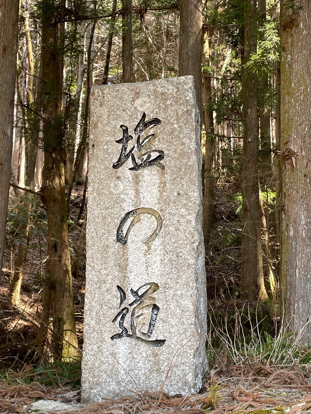 青崩の頭・前熊伏山・熊伏山 / TKC90さんの熊伏山・観音山の活動データ | YAMAP / ヤマップ