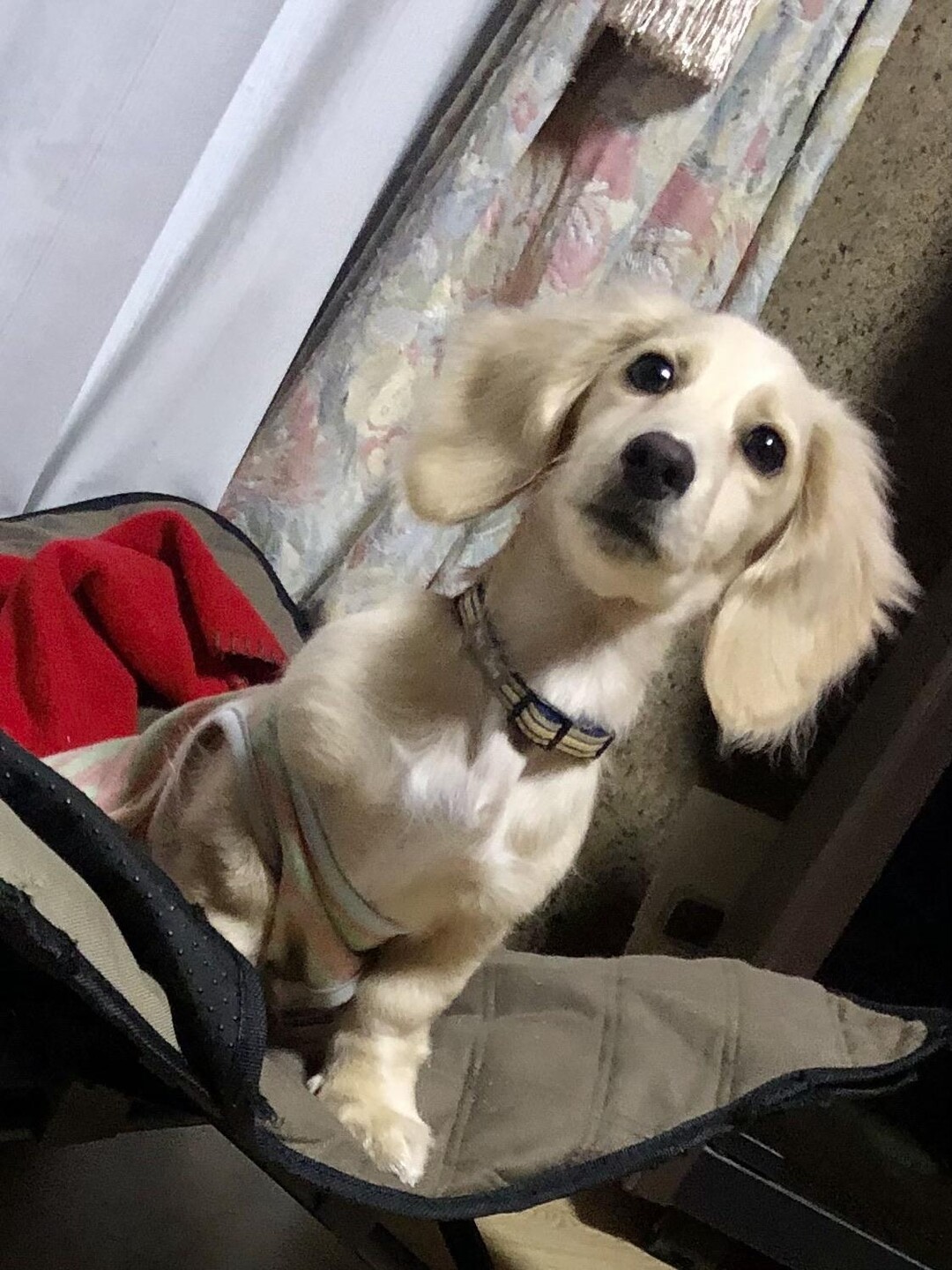 何故か〜君のこと考えてます🐾 / 登 人 《 ITC-ONE 》さんの釈迦ヶ岳の活動データ | YAMAP / ヤマップ