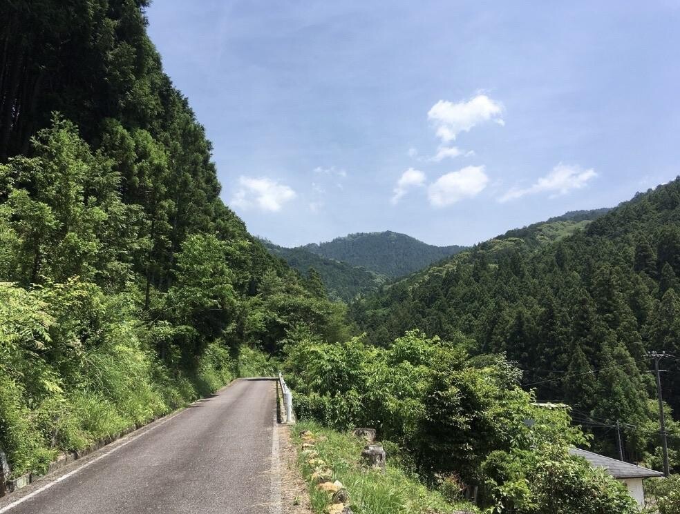 番組告知 テレビ朝日「謎解き!伝説のミ... / yosiさんのモーメント | YAMAP / ヤマップ