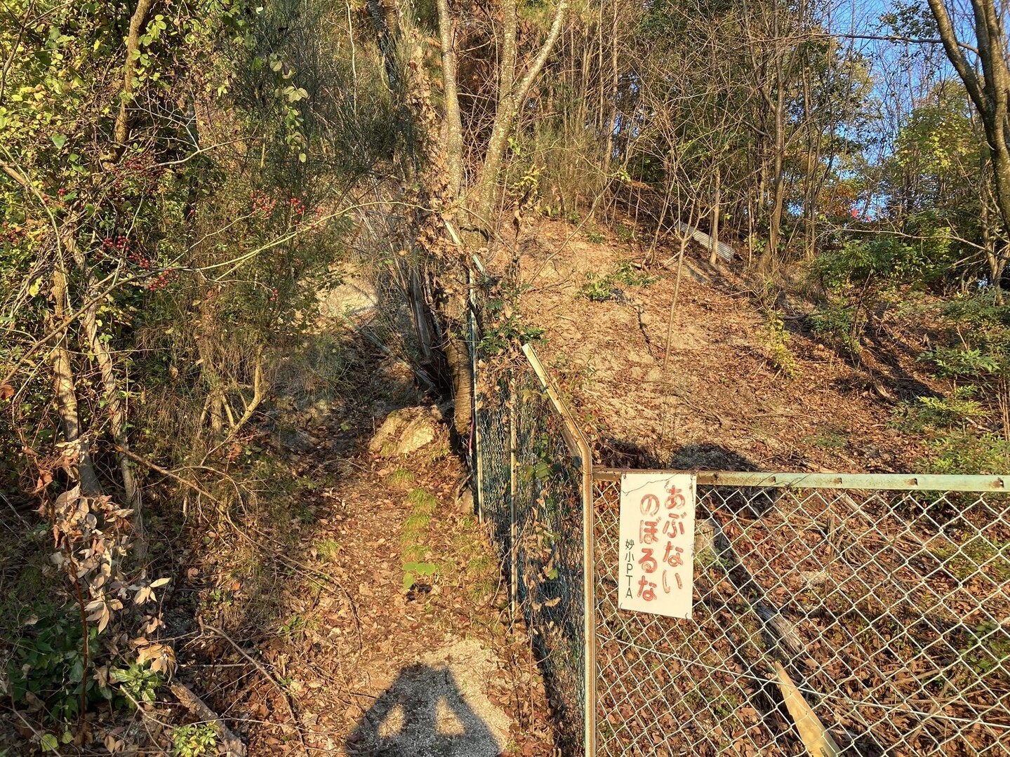 kazz309さんの投稿したフィールドメモ | YAMAP / ヤマップ