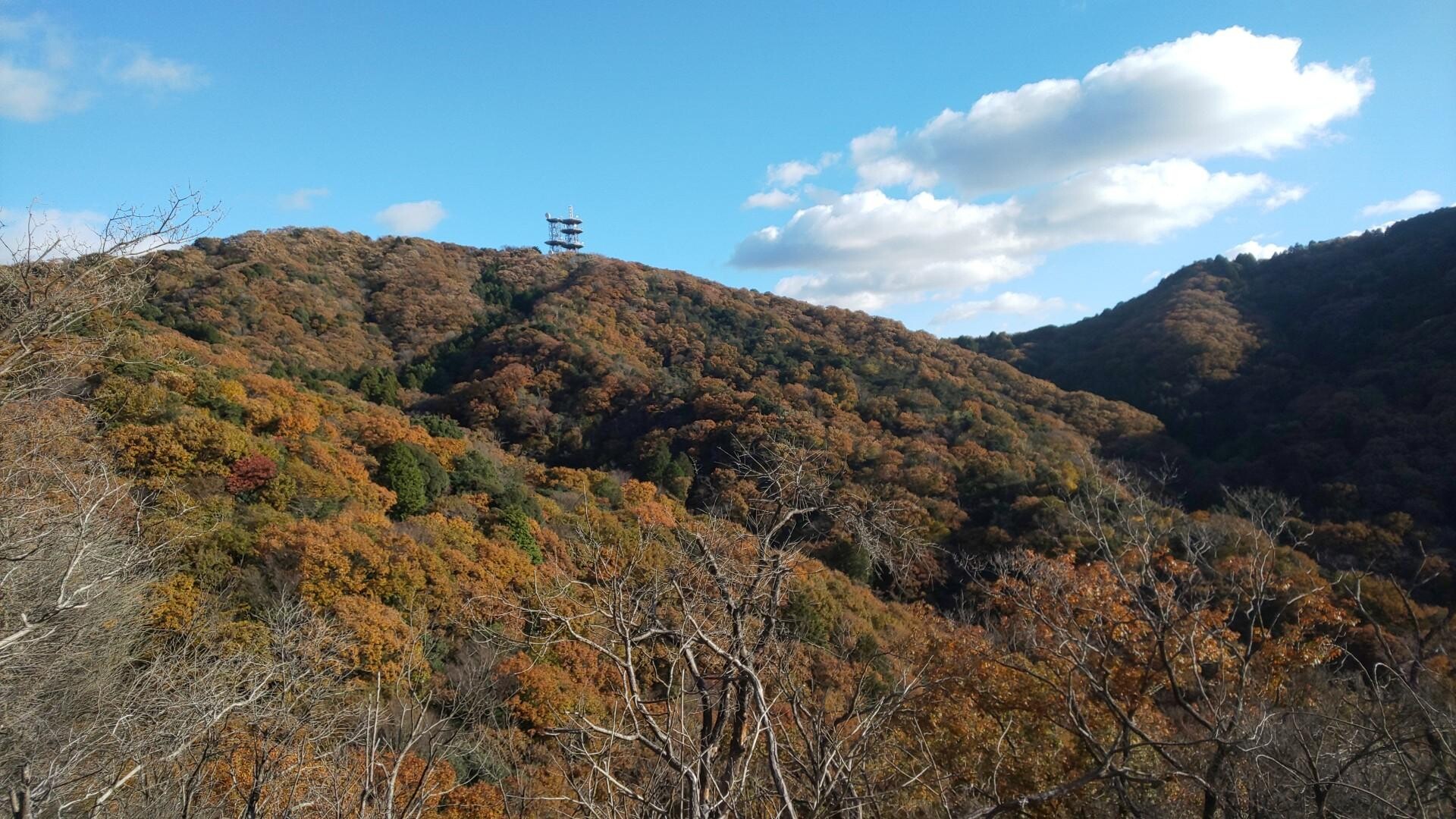 茶臼山12座巡り…と思ったら13座になってた( ￣ ￣) / jackさんの茶臼山・万灯山の活動データ | YAMAP / ヤマップ