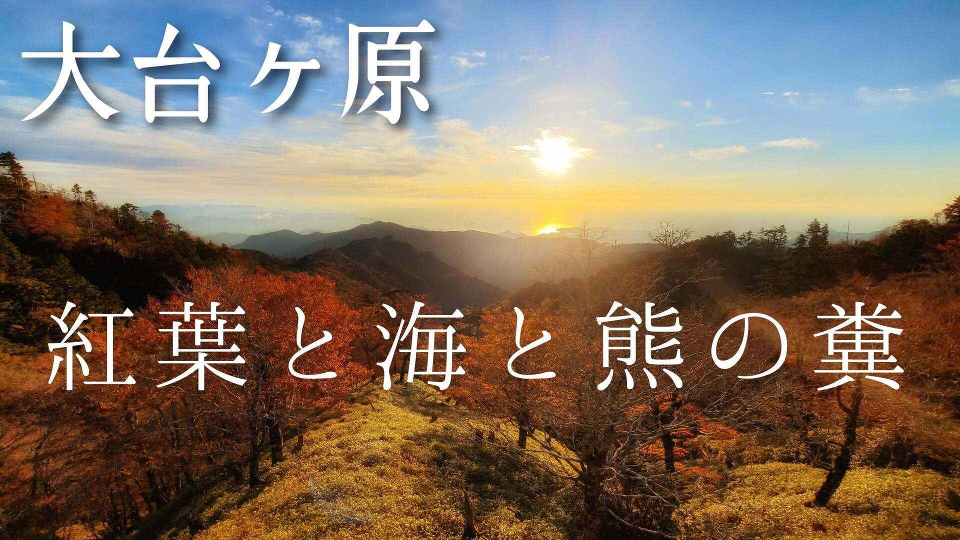 【動画】大台ヶ原「紅葉と海と熊の糞」ht... / isaさんのモーメント | YAMAP / ヤマップ