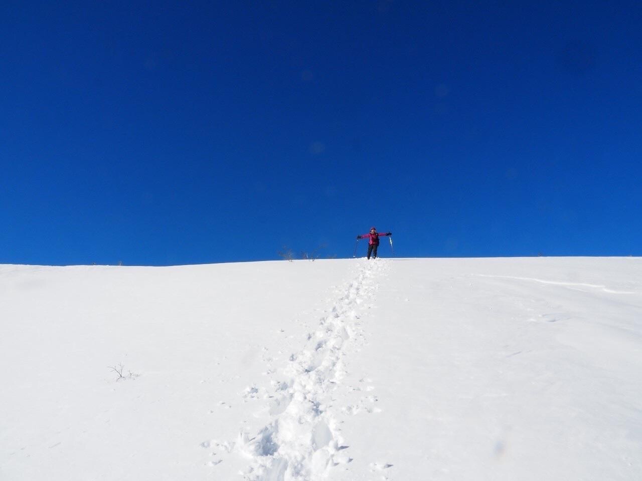 前山・能郷白山 / ayuminさんの能郷白山の活動データ | YAMAP / ヤマップ