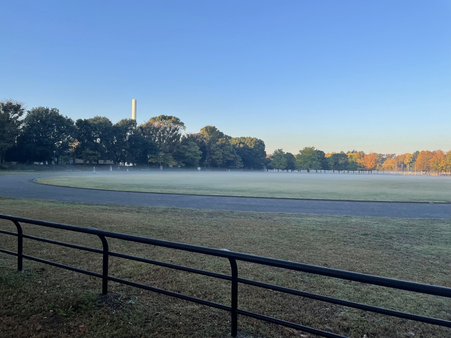 12月いや「2024年」も残すところ2週... / enoさんのモーメント | YAMAP / ヤマップ