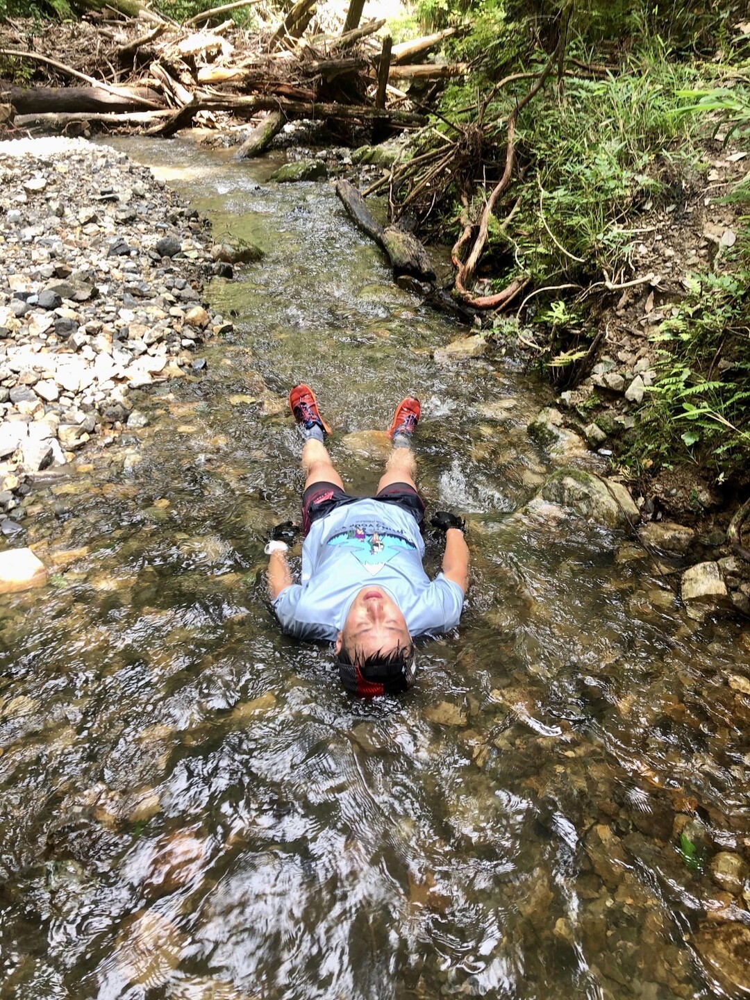 ちょっとドボンしにtakeshiさんと北摂へ / ippeioさんの竜王山・阿武山の活動データ | YAMAP / ヤマップ