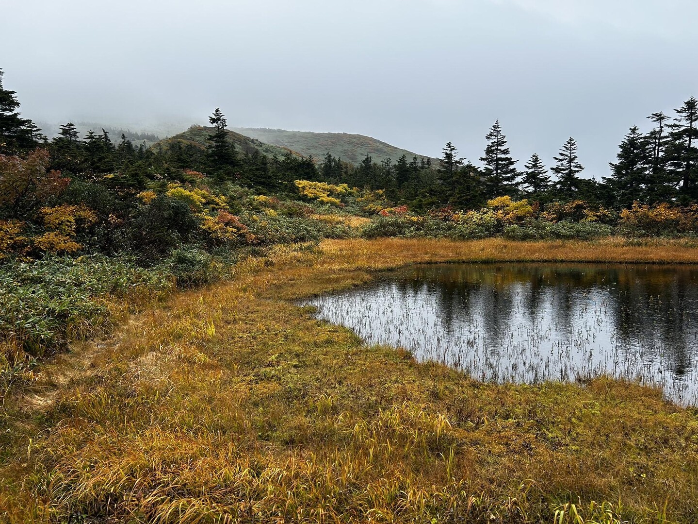 湯森山・笊森山・烏帽子岳(乳頭山) / yamacchiさんの乳頭山・湯森山・大白森の活動データ | YAMAP / ヤマップ