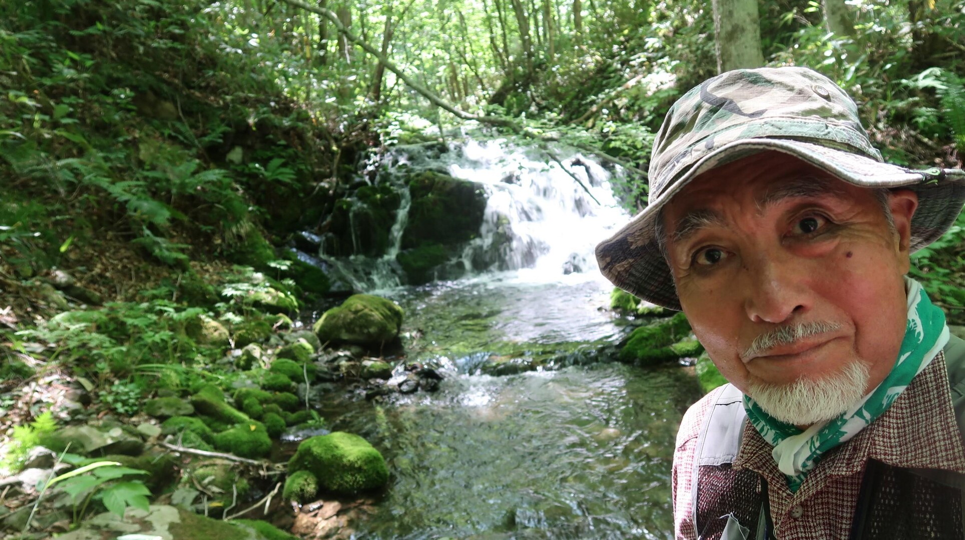 リハビリ実践編『岩魚釣り』 先月下旬、... / D. Benさんのモーメント | YAMAP / ヤマップ