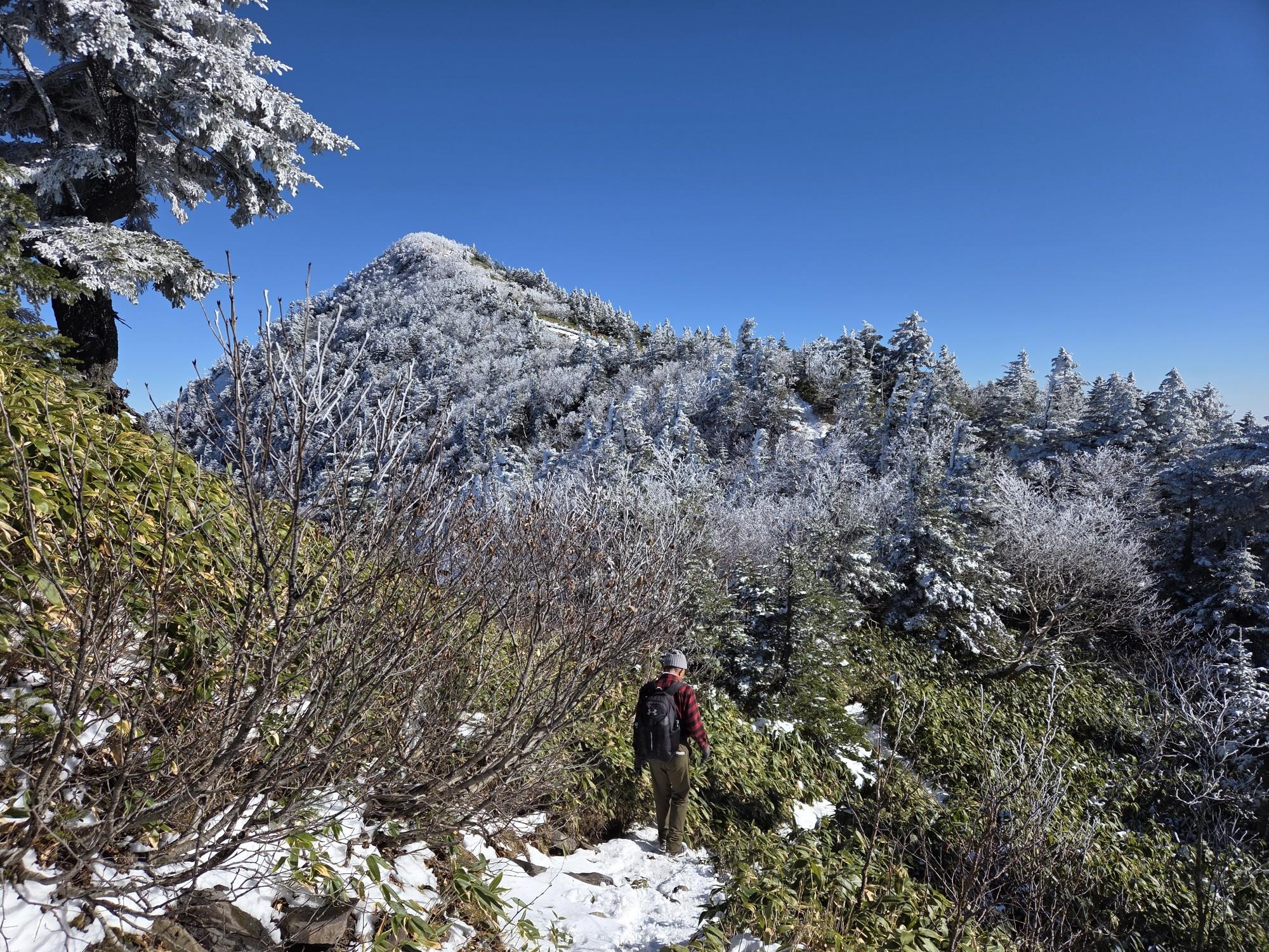 四阿山 / nekomenさんの四阿山・根子岳の活動データ | YAMAP / ヤマップ