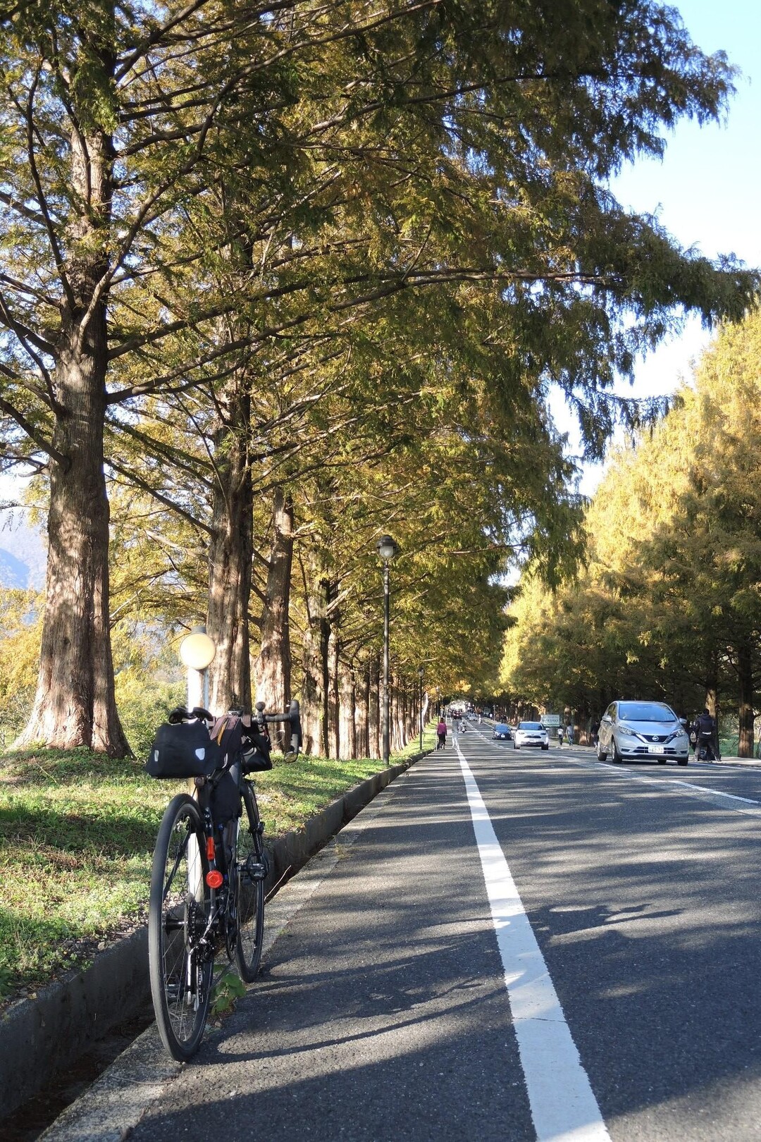 らくのページ | YAMAP / ヤマップ