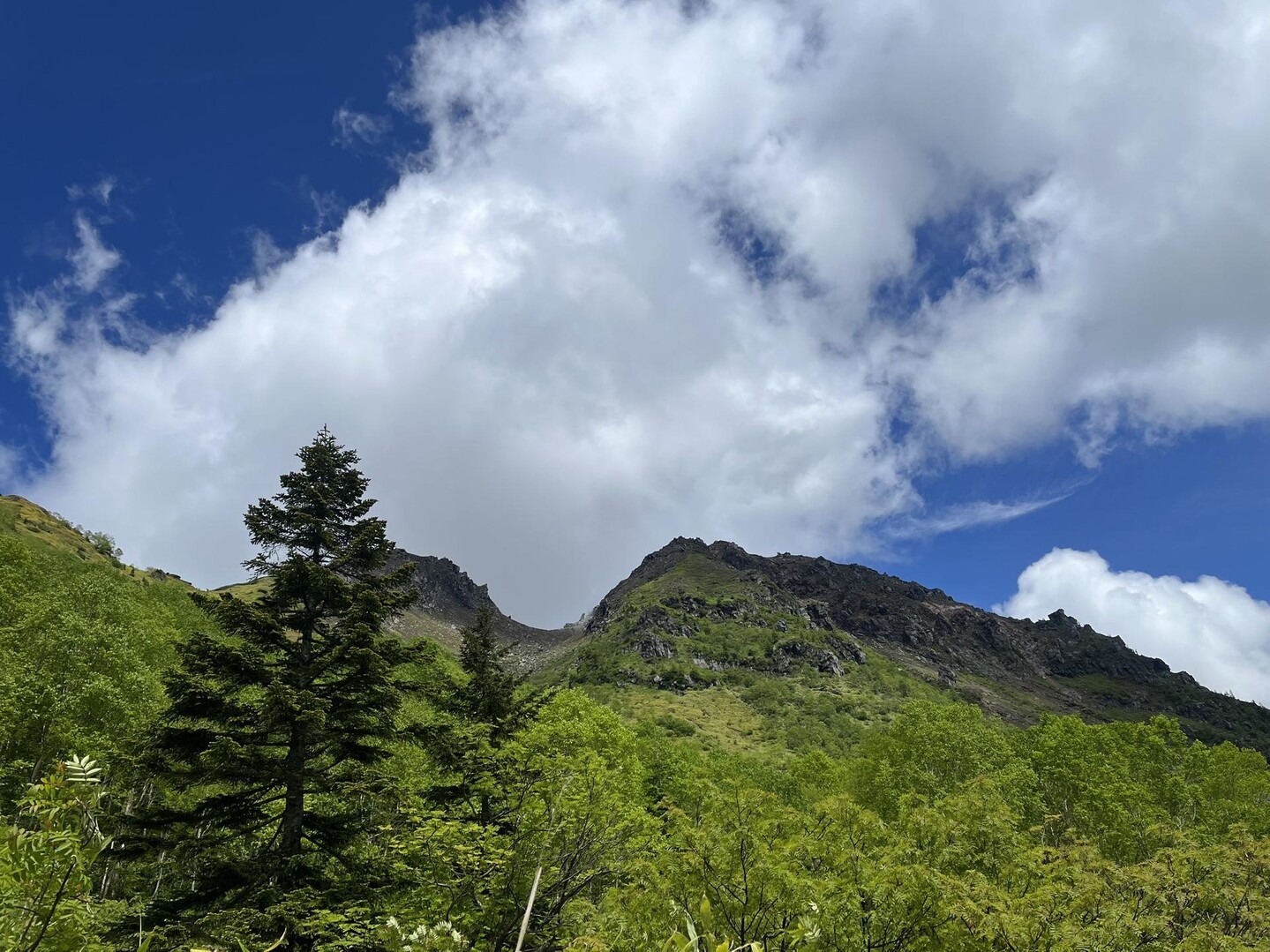 焼岳（北峰） / ありさんの槍ヶ岳・穂高岳・上高地の活動データ | YAMAP / ヤマップ