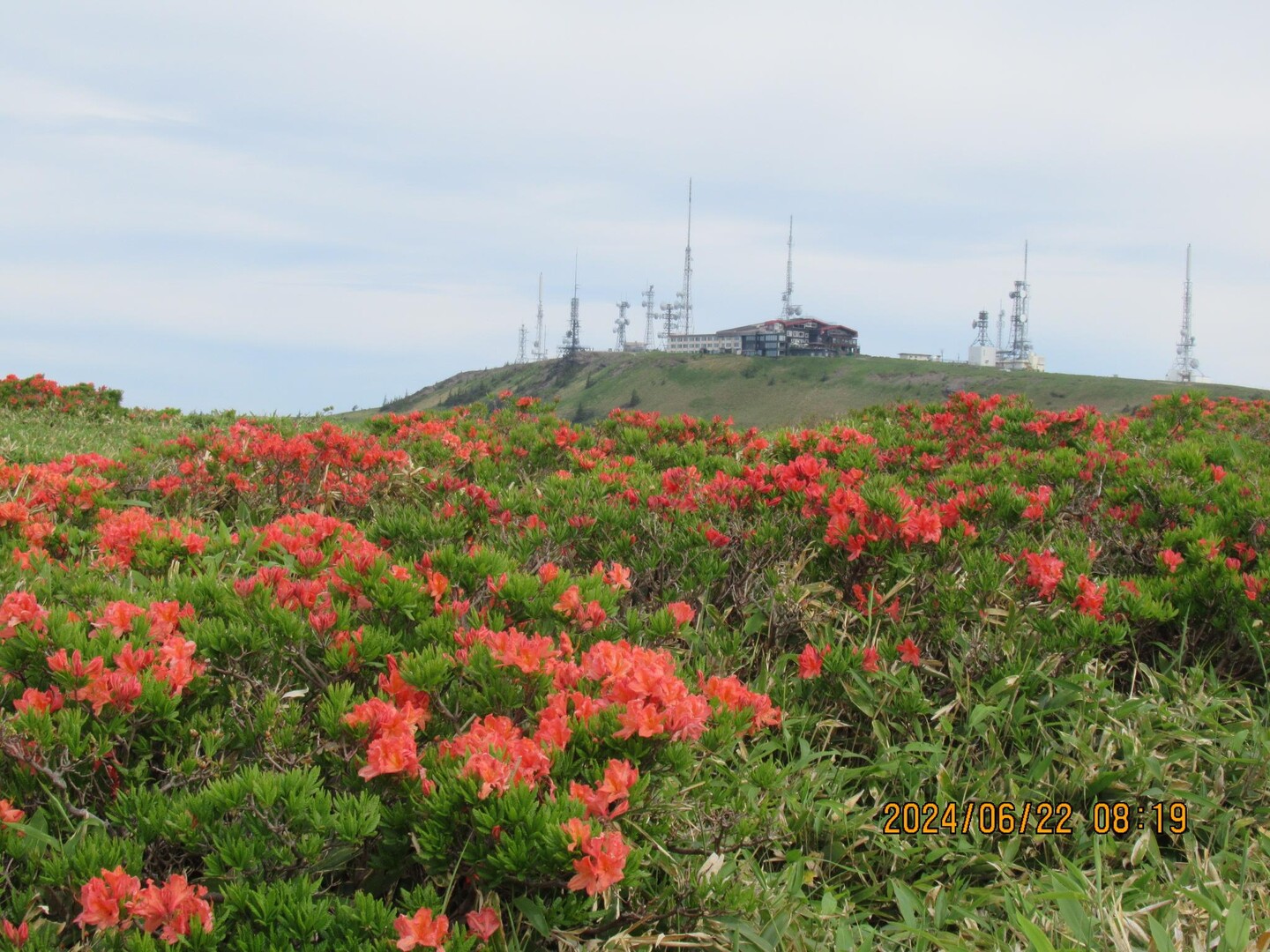 美ヶ原、R6.6.22 / yamayamaya さんの美ヶ原の活動日記 | YAMAP / ヤマップ