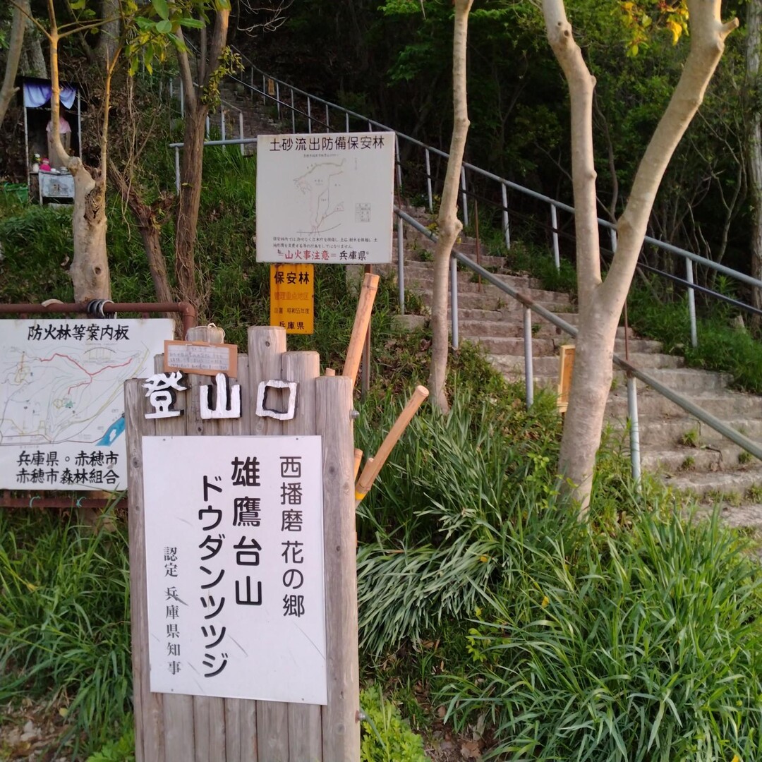 朝活登山🌄 2024-05-03 / konbuさんの雄鷹台山の活動データ | YAMAP / ヤマップ