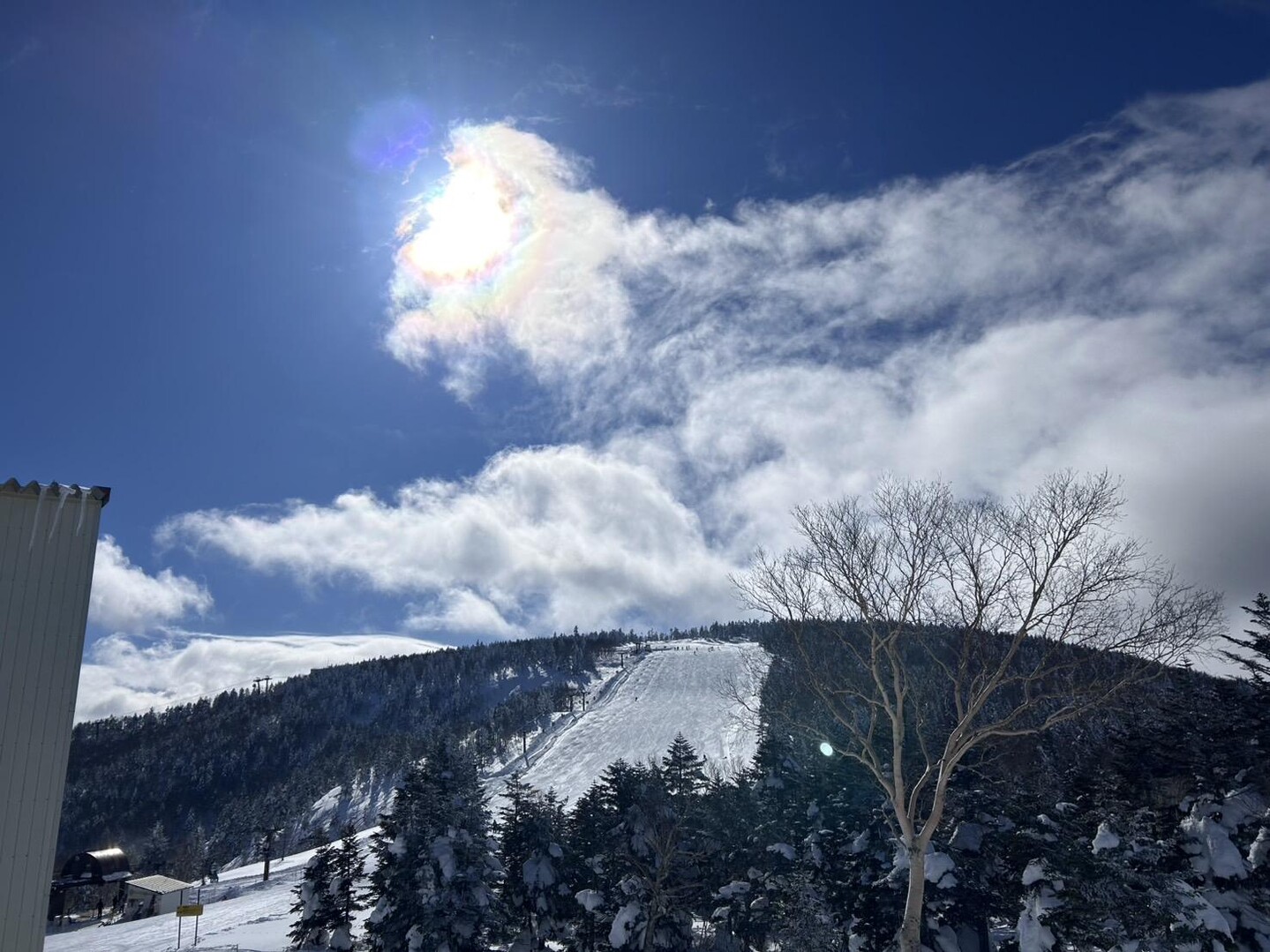 志賀高原スキー 2025-01-25 / ひでさんのスキーの活動日記 | YAMAP / ヤマップ