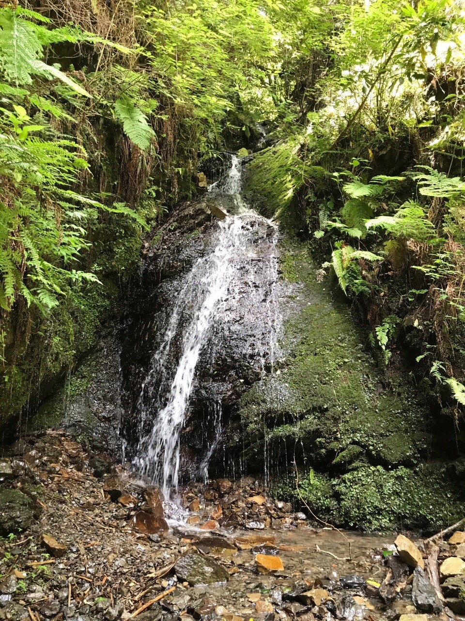 ぷーさん5646さんの投稿したフィールドメモ | YAMAP / ヤマップ