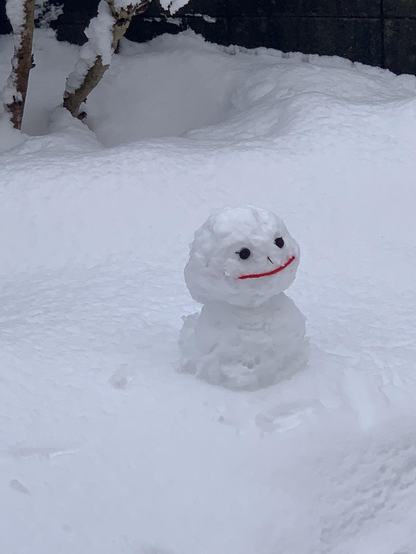 ボクの🤚は 今年は これで寒さ知らずな... / keyさんのモーメント | YAMAP / ヤマップ