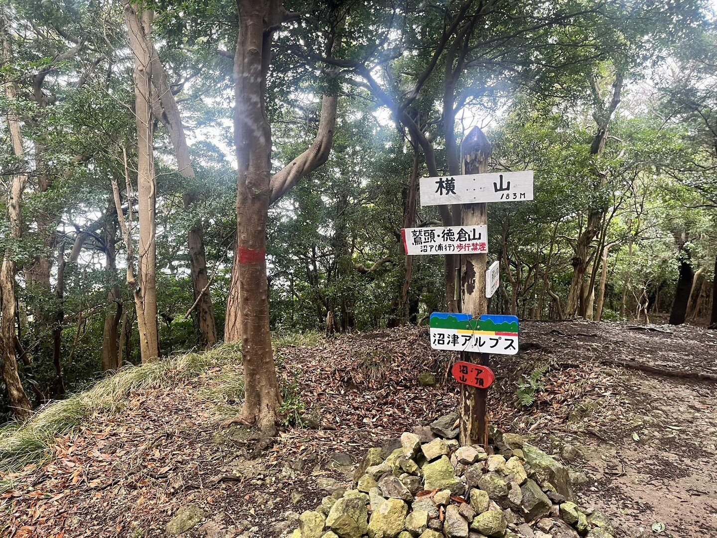 香貫山・横山・徳倉山 / ma-sa-kiさんの沼津アルプス・鷲頭山・香貫山の活動データ | YAMAP / ヤマップ