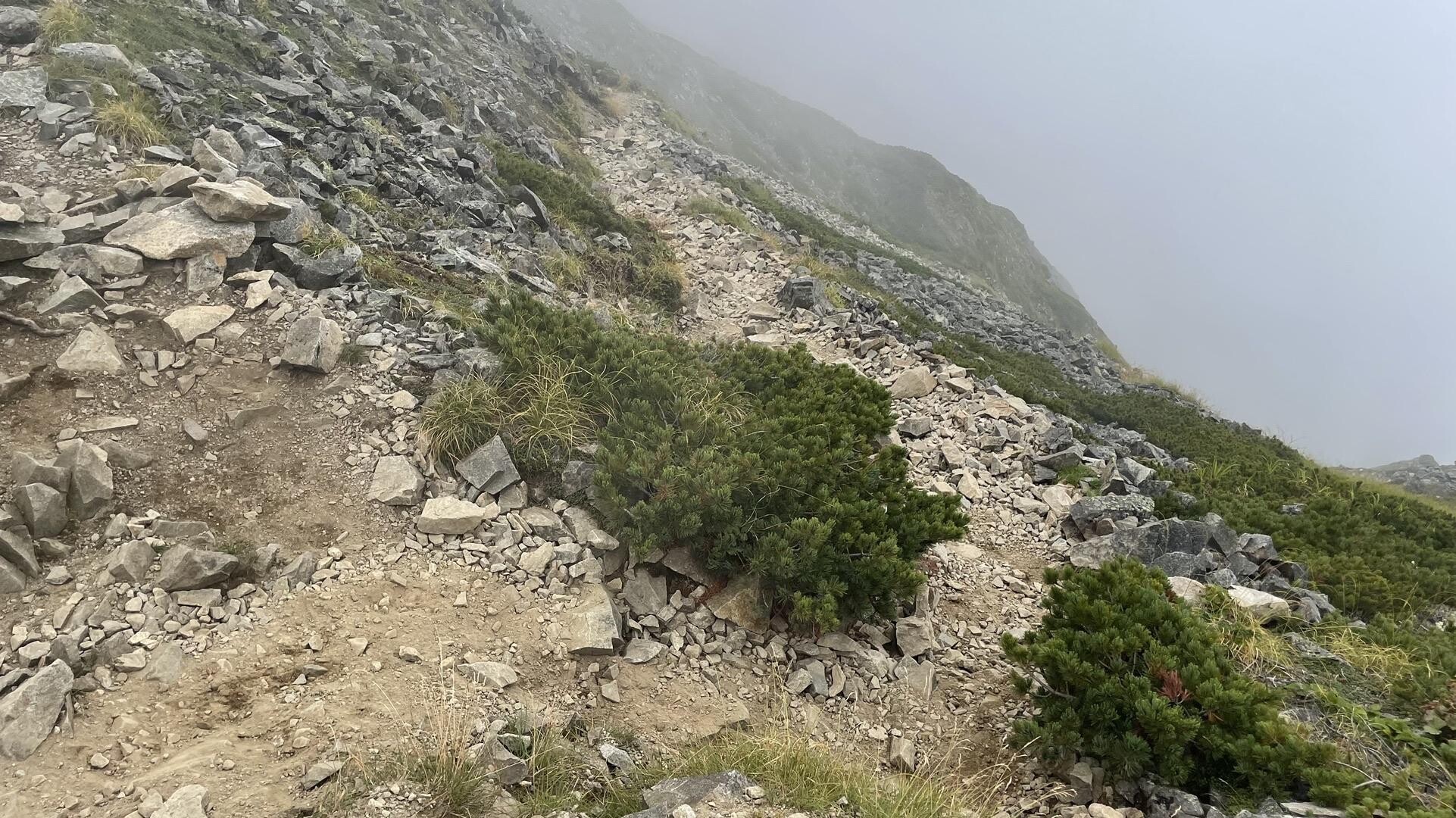 YUUKI🏔さんの投稿したフィールドメモ | YAMAP / ヤマップ