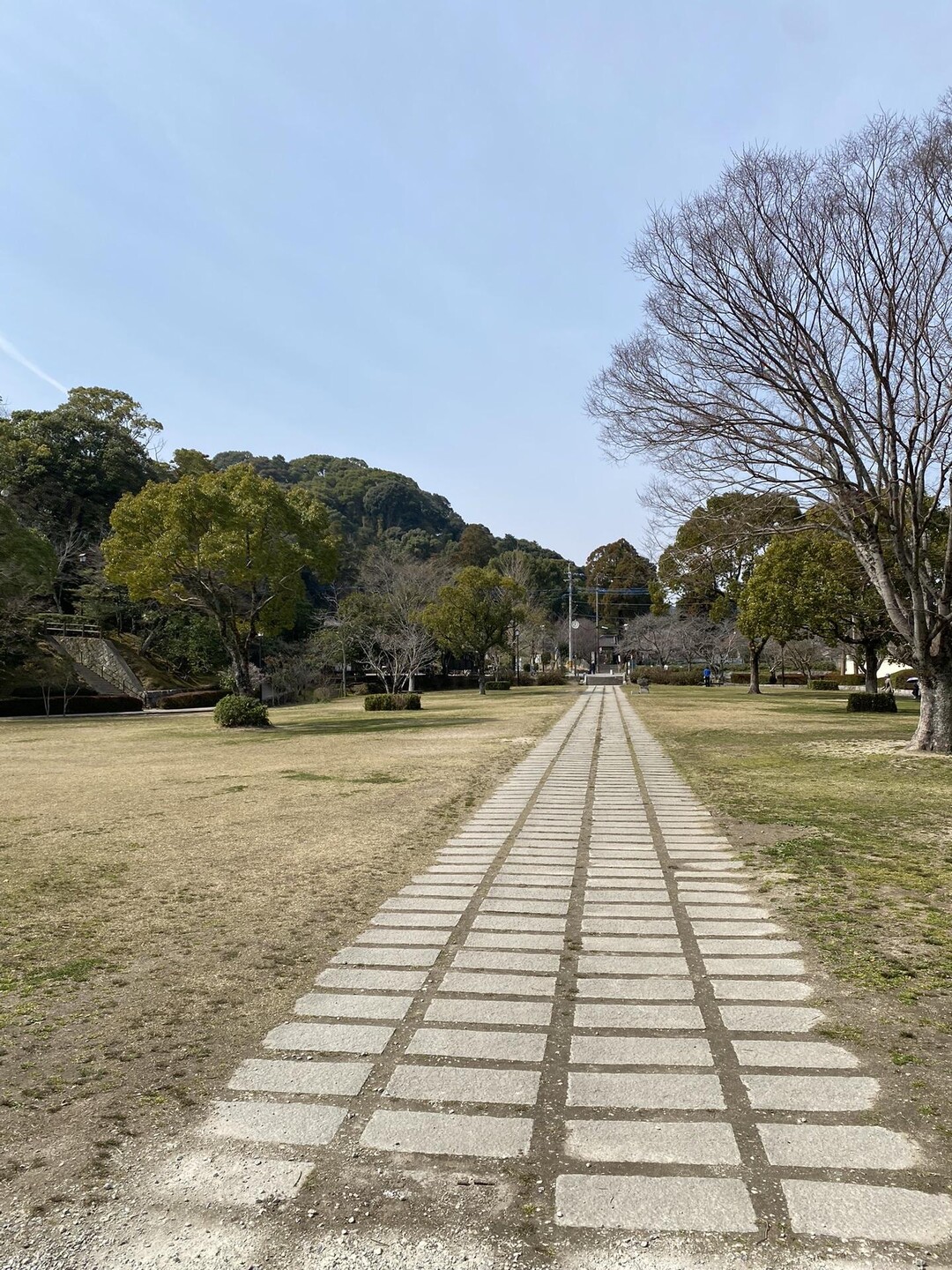 間違えた💦 / ARままさんの天拝山・基山の活動データ | YAMAP / ヤマップ