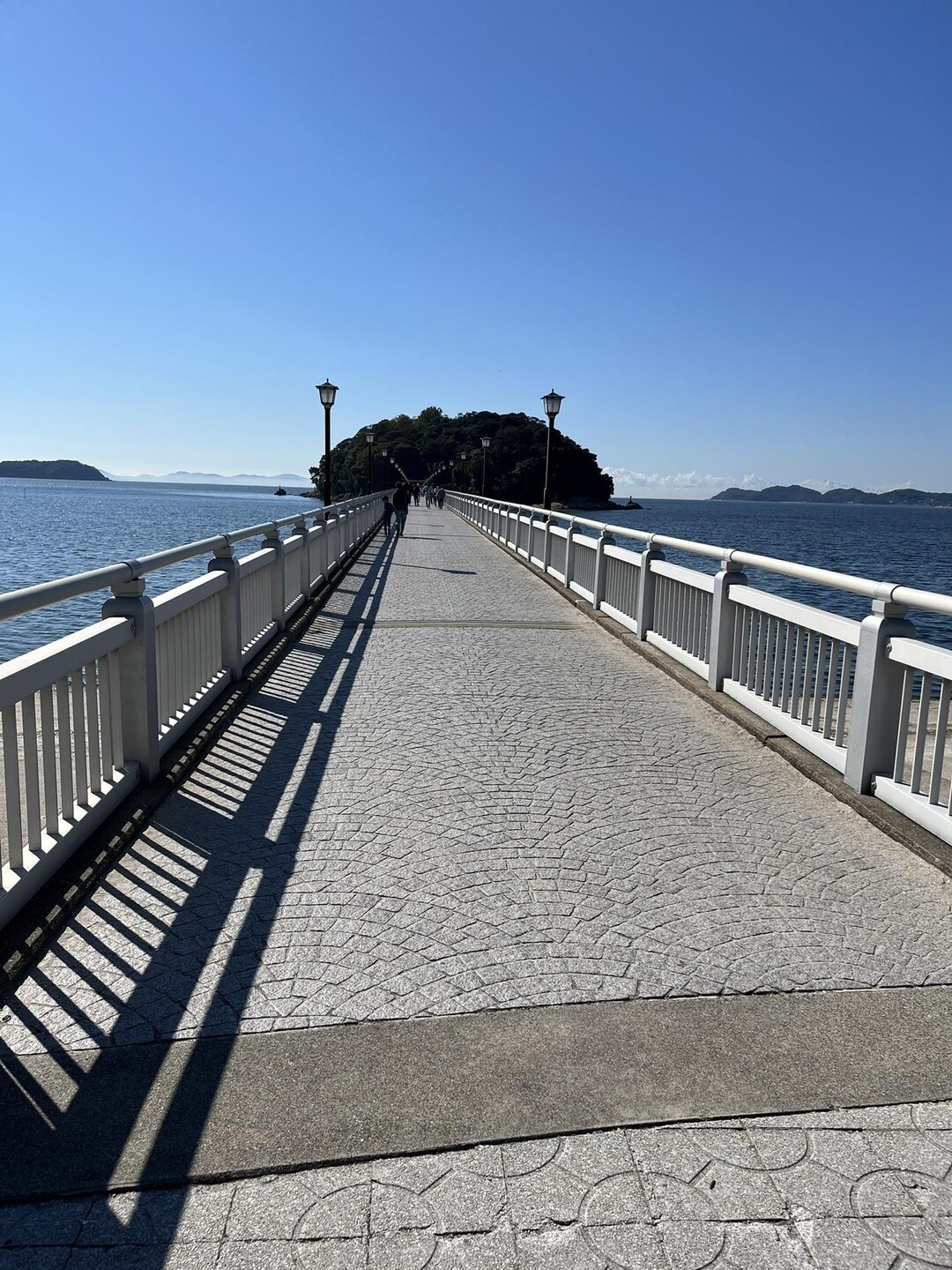 ウォーキング-2022-11-03 / muraさんのウォーキングの活動データ | YAMAP / ヤマップ