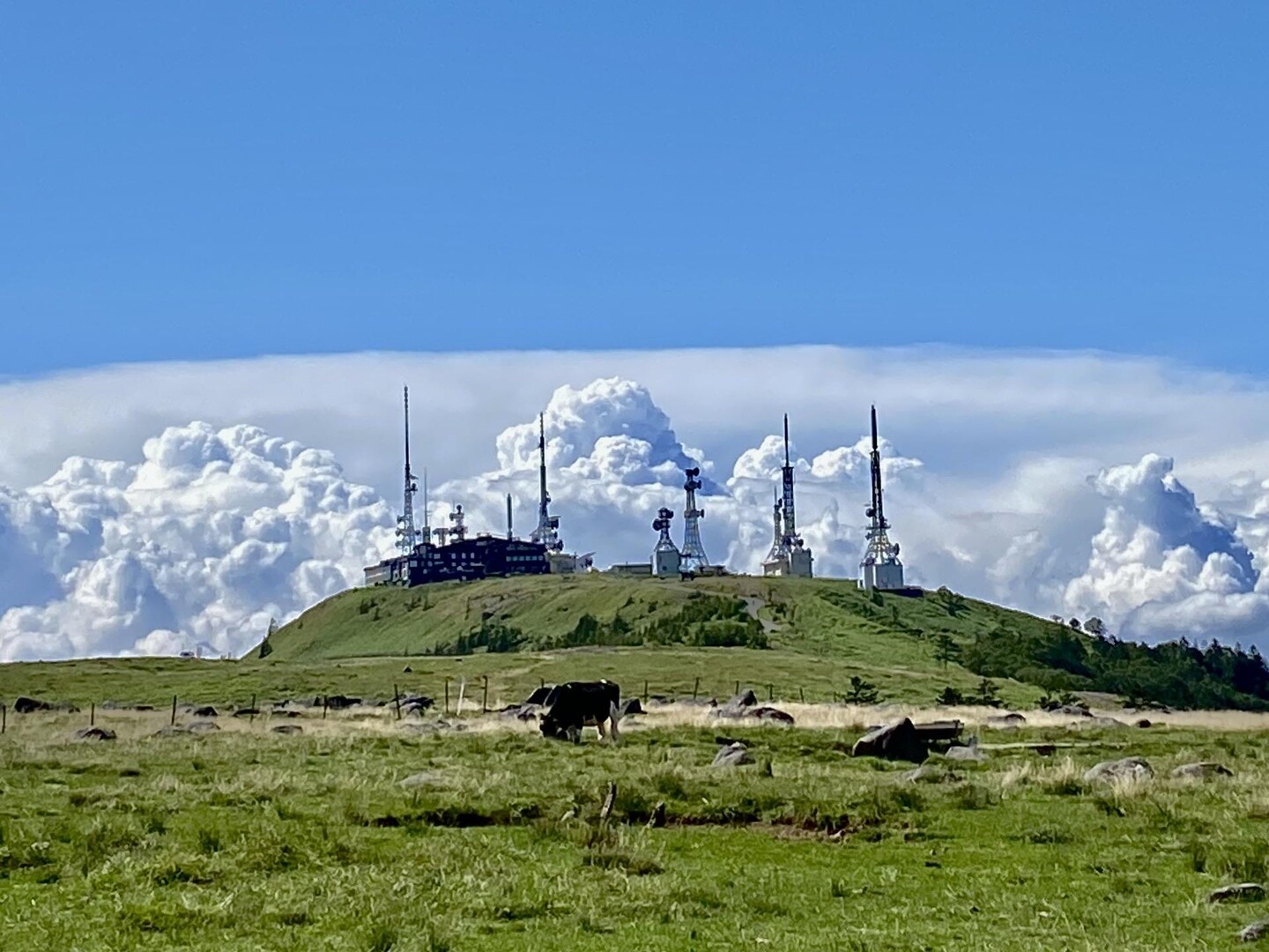 美ヶ原高原 / ジョンソンカフェMC. サトシさんの美ヶ原の活動データ | YAMAP / ヤマップ