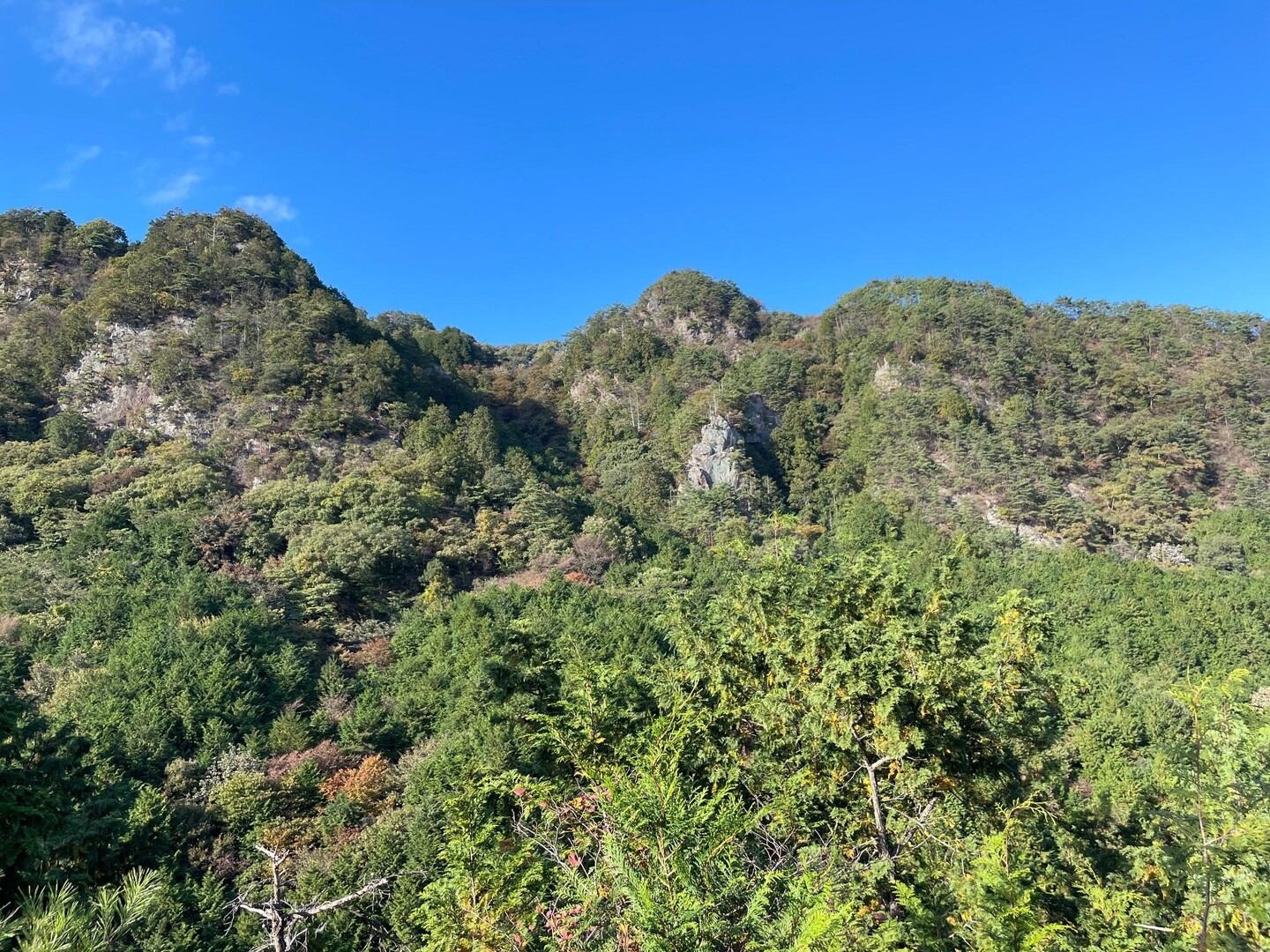 古賀志山 / りゅうさんの古賀志山・赤岩山・鞍掛山・男抱山・半蔵山の活動データ | YAMAP / ヤマップ