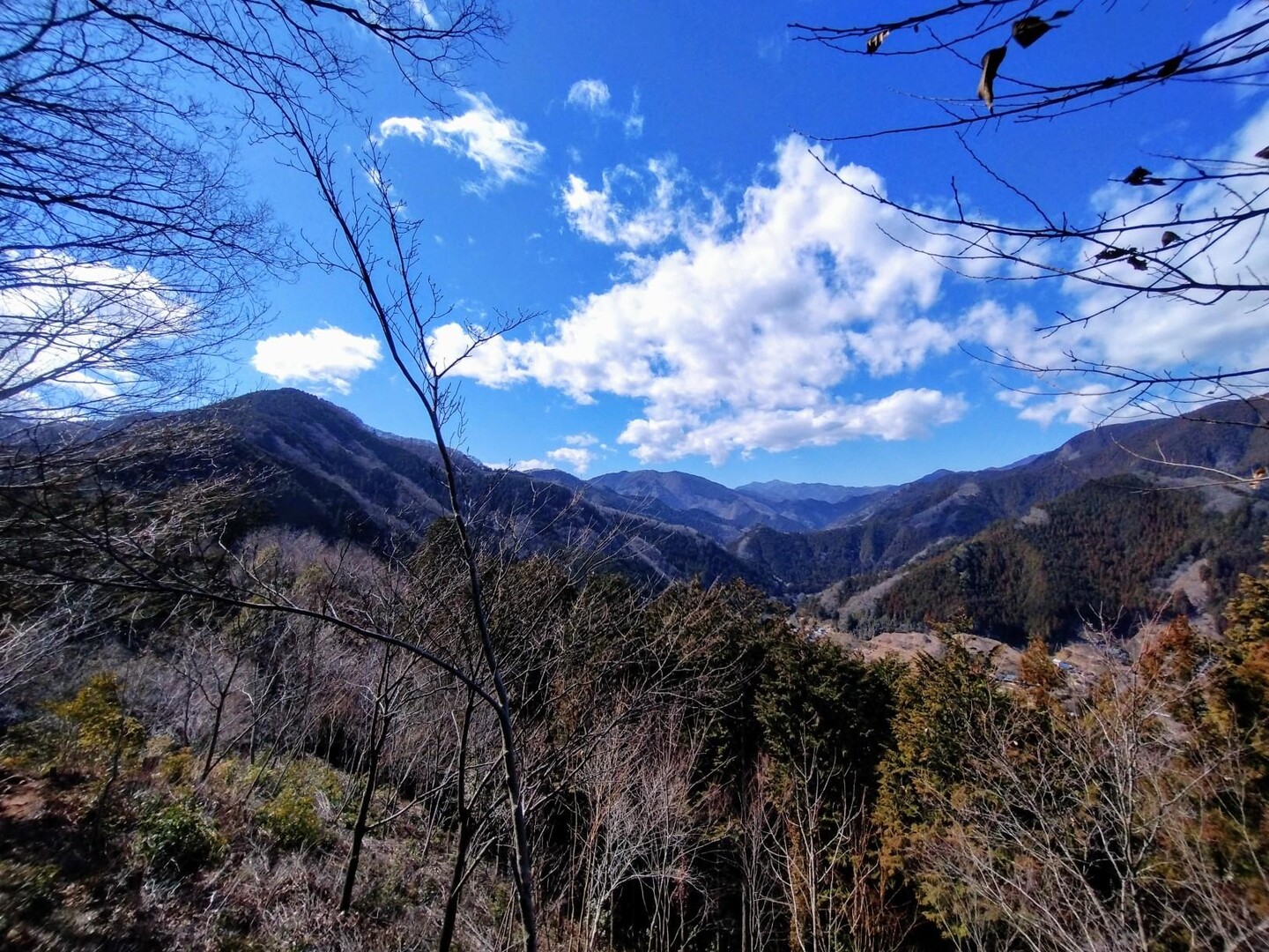 ハセツネ30k 試走① / テツクリさんの臼杵山・市道山・刈寄山の活動データ | YAMAP / ヤマップ