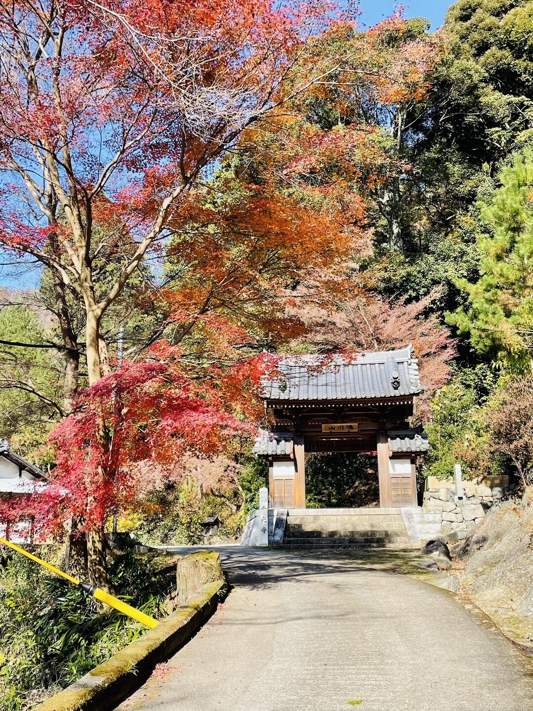 ⚠️危険な千光寺の裏行場から大原山・横峰山 / Black Packer 18さんの生駒山・神津嶽・大原山の活動データ | YAMAP / ヤマップ