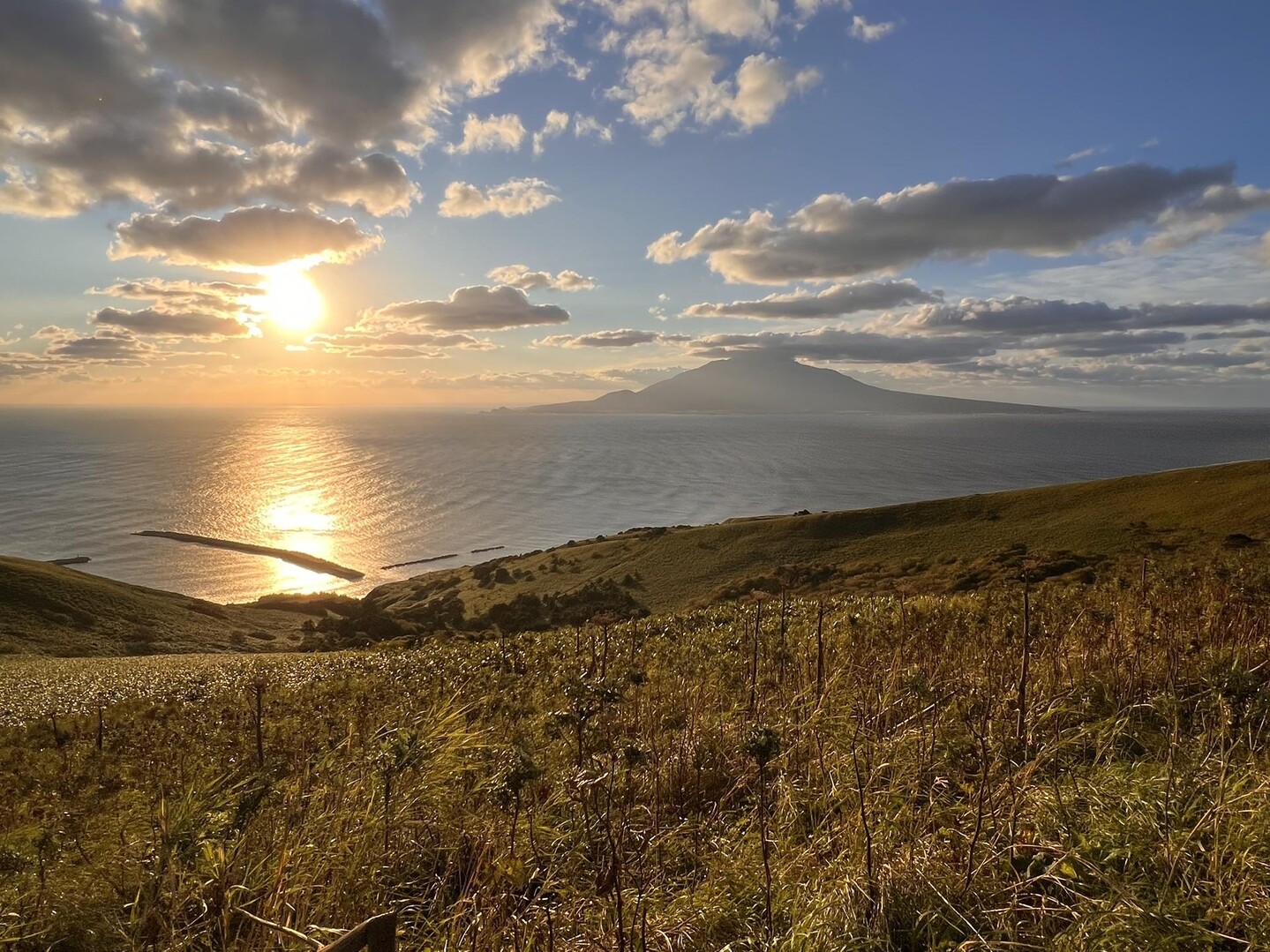 礼文島 お散歩 / yuzu_coさんの礼文島の活動データ | YAMAP / ヤマップ
