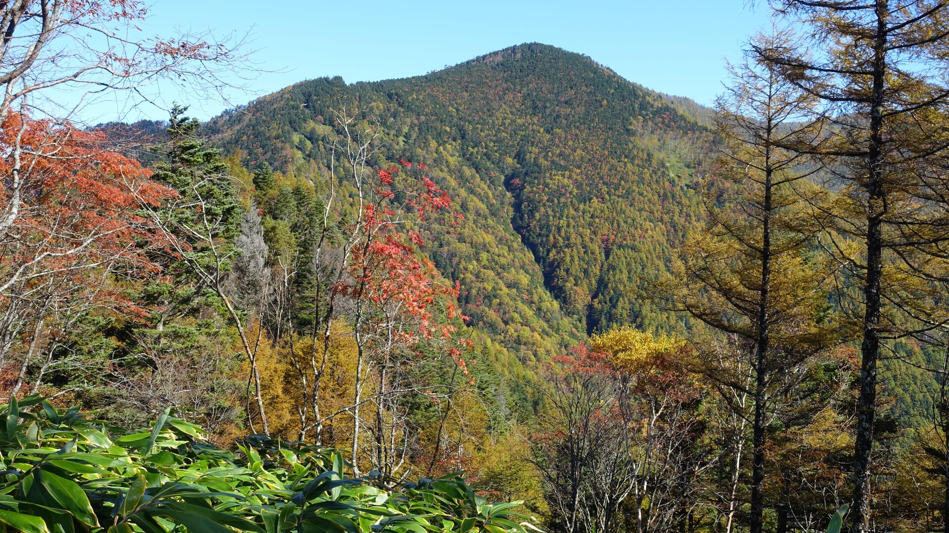 経ヶ岳 権兵衛峠 / TJさんの経ヶ岳・坊主岳の活動データ | YAMAP / ヤマップ